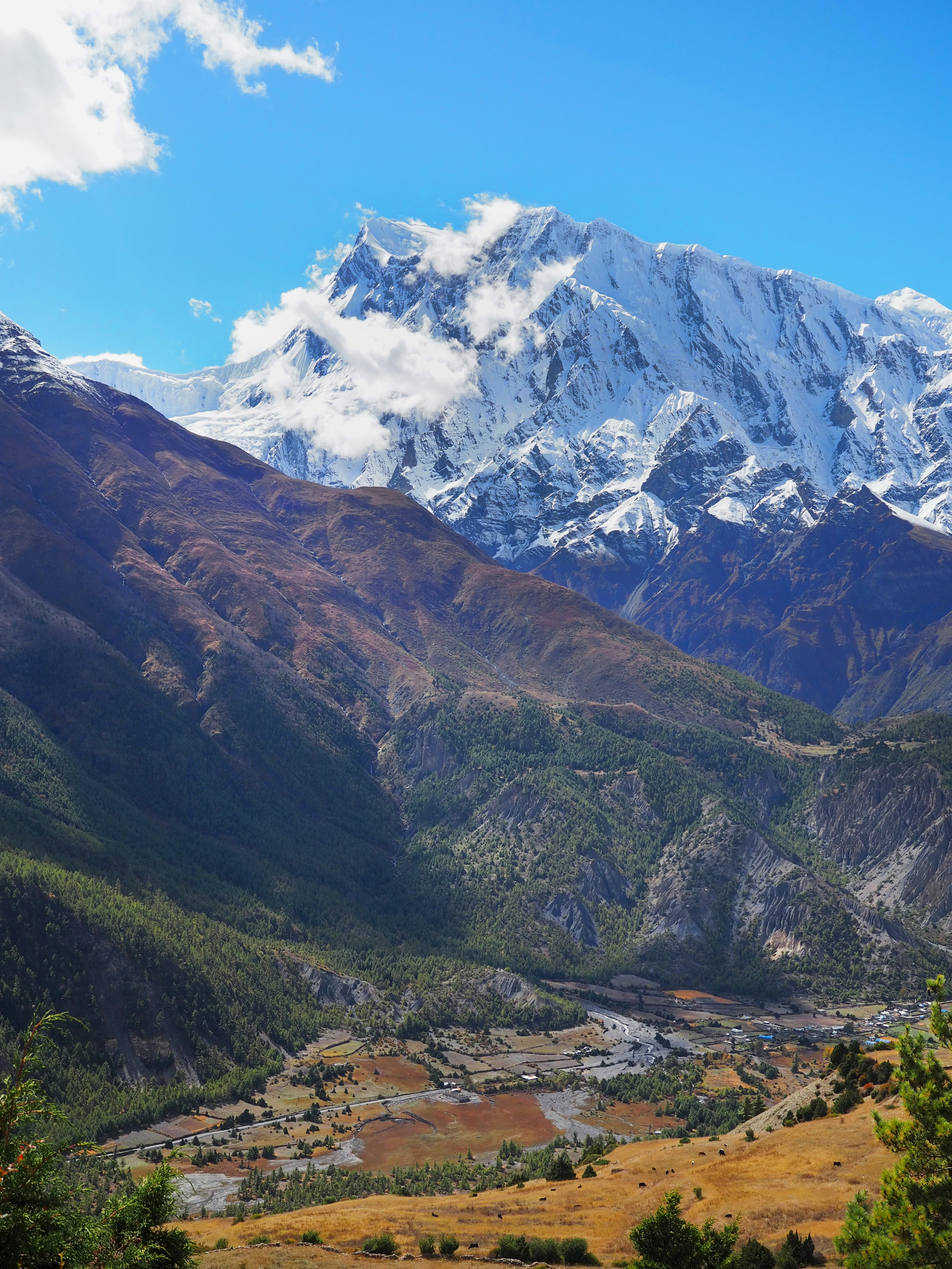 Snow-capped peaks rise above a winding valley of brown and green fields, under a bright blue sky. Landscape photograph.