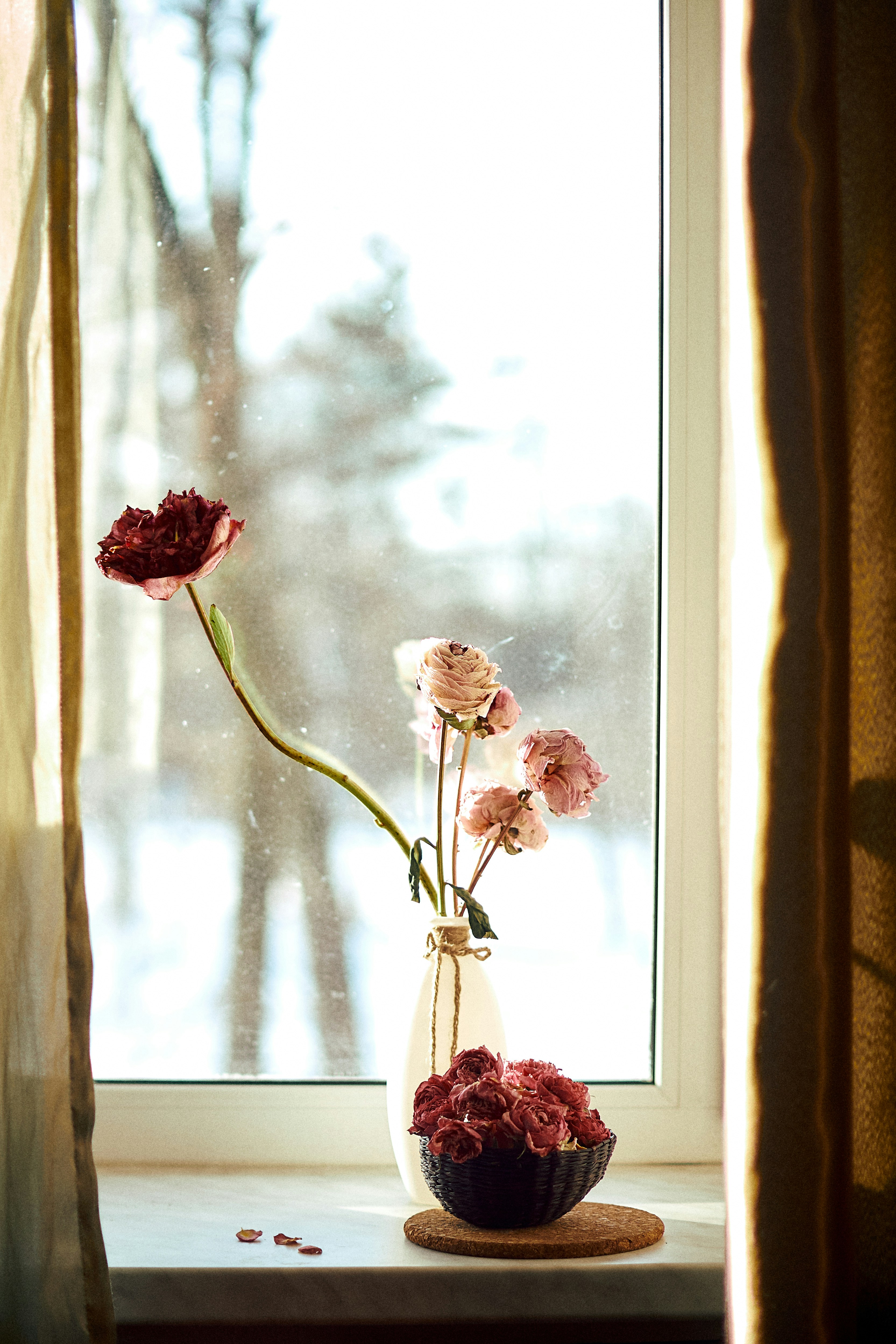 Photo by Dana Sarsenbekova with Canon EOS 600D