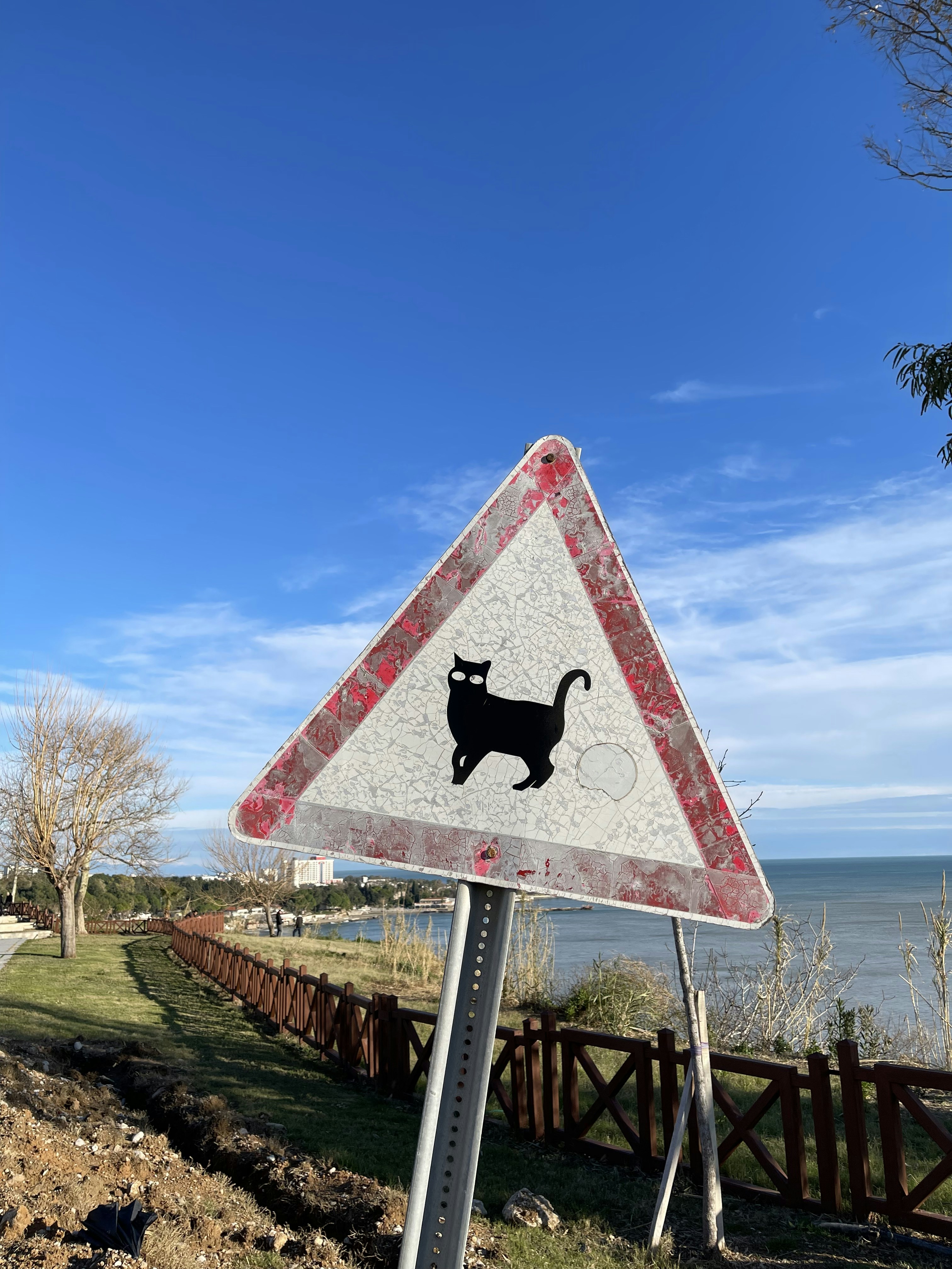 Leaning Coastal Cat Sign: Weathered Warning by the Sea