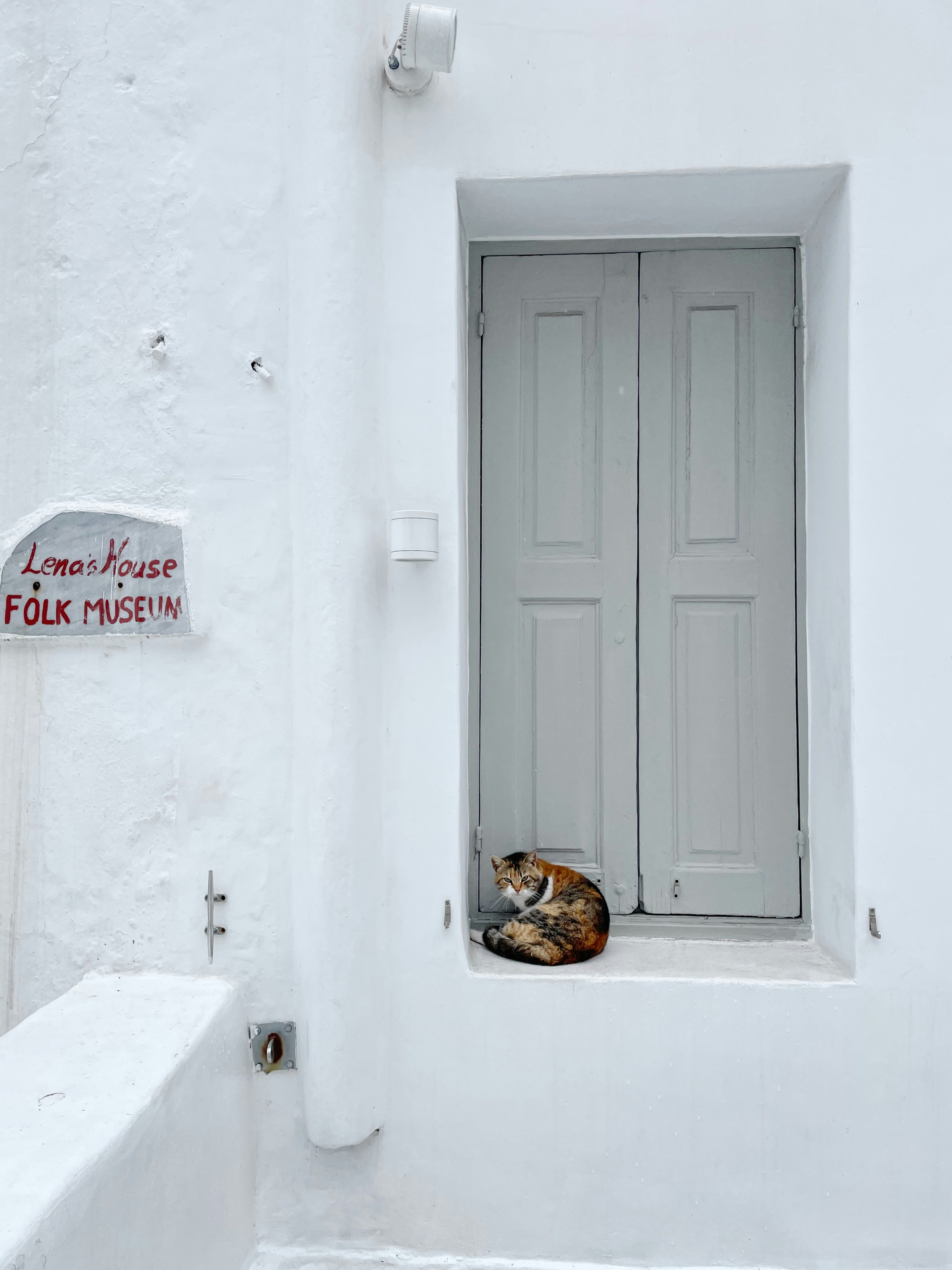 Quiet Threshold: A Cat on Lena's House Folk Museum Doorstep