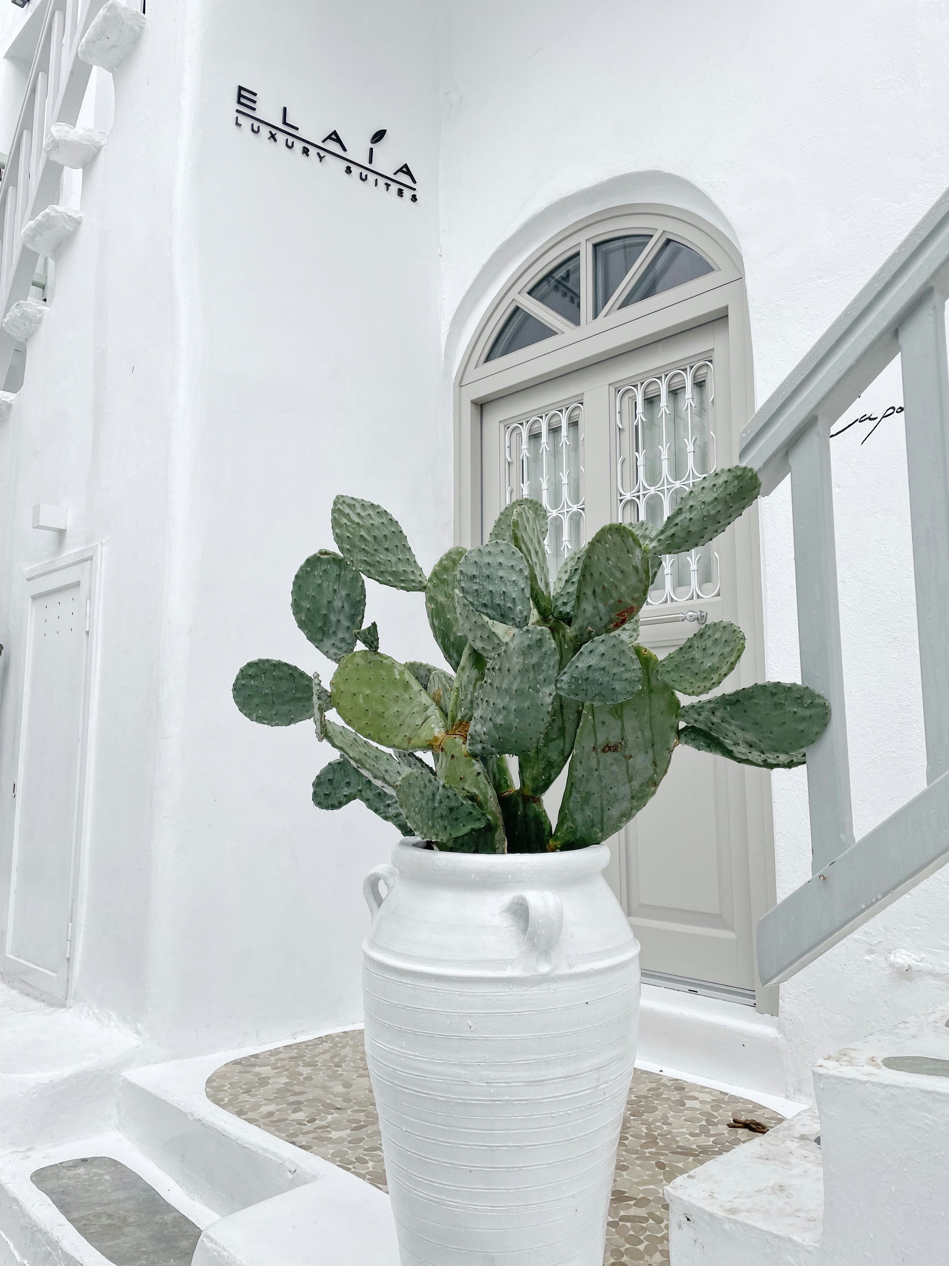 Photo by Nella N with Apple iPhone 12