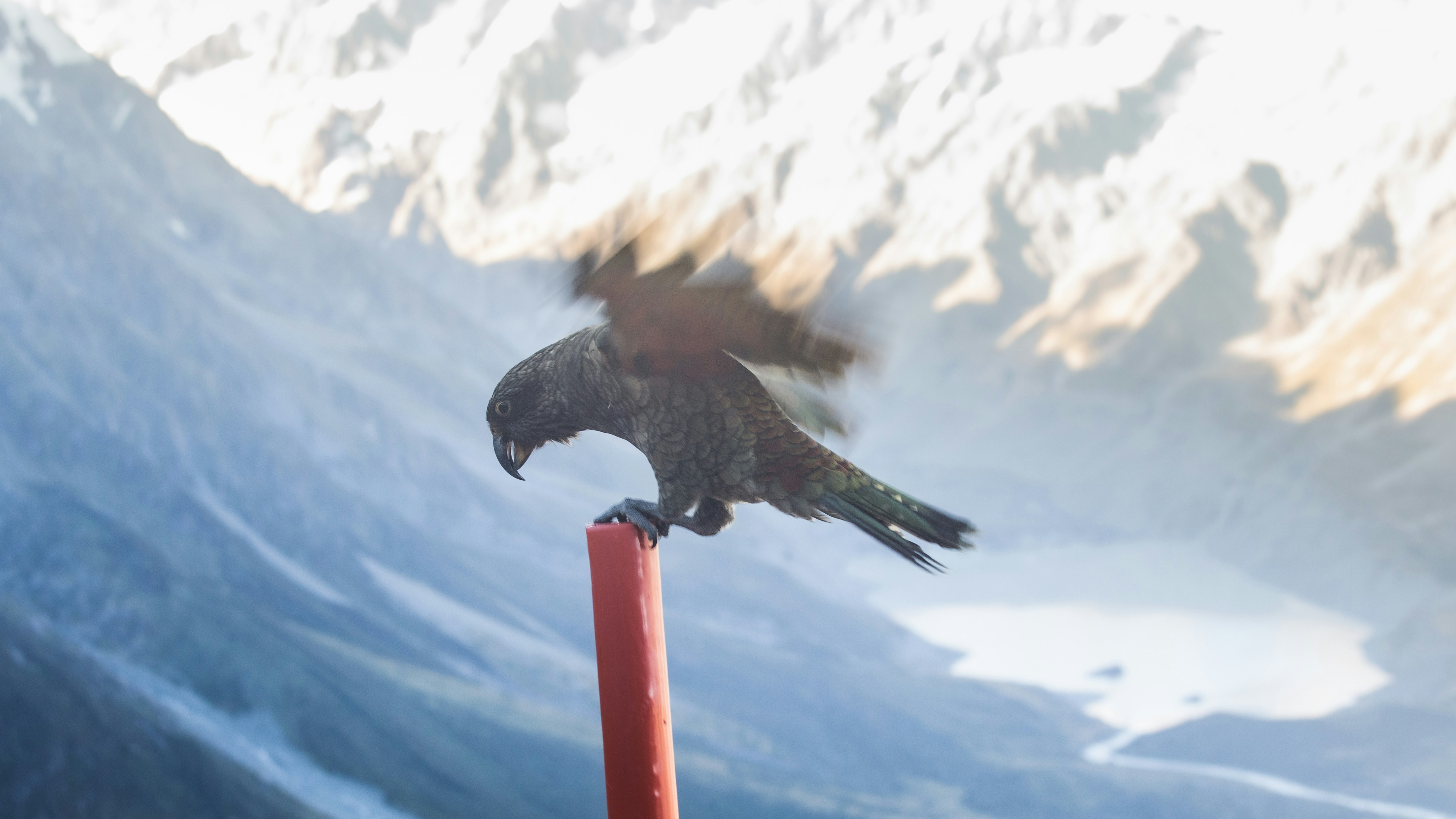 Crimson Post Sentinel Against Alpine Dawn