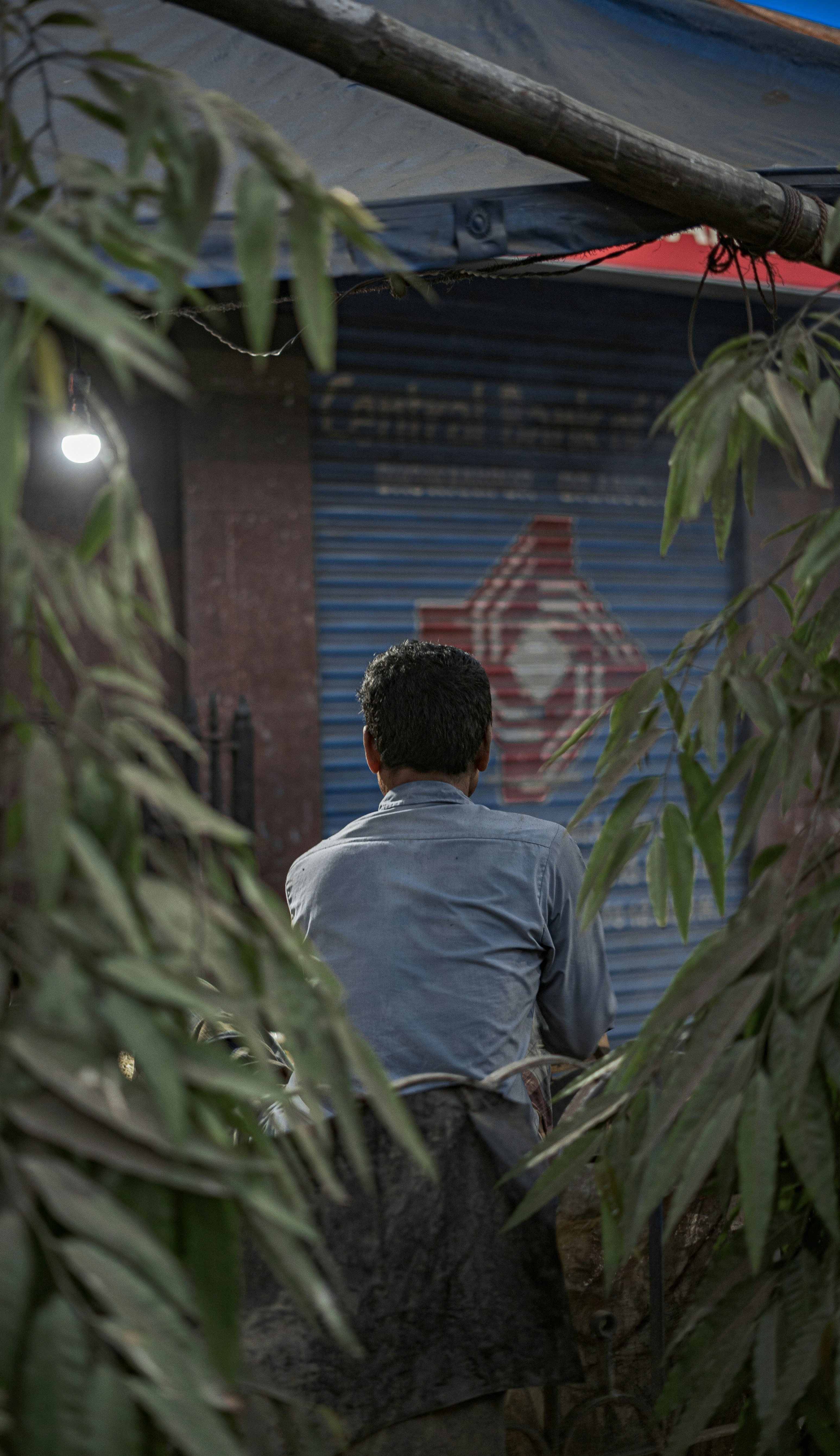 Back Turned in the Alley: A Denim-Clad Figure Framed by Green Fronds
