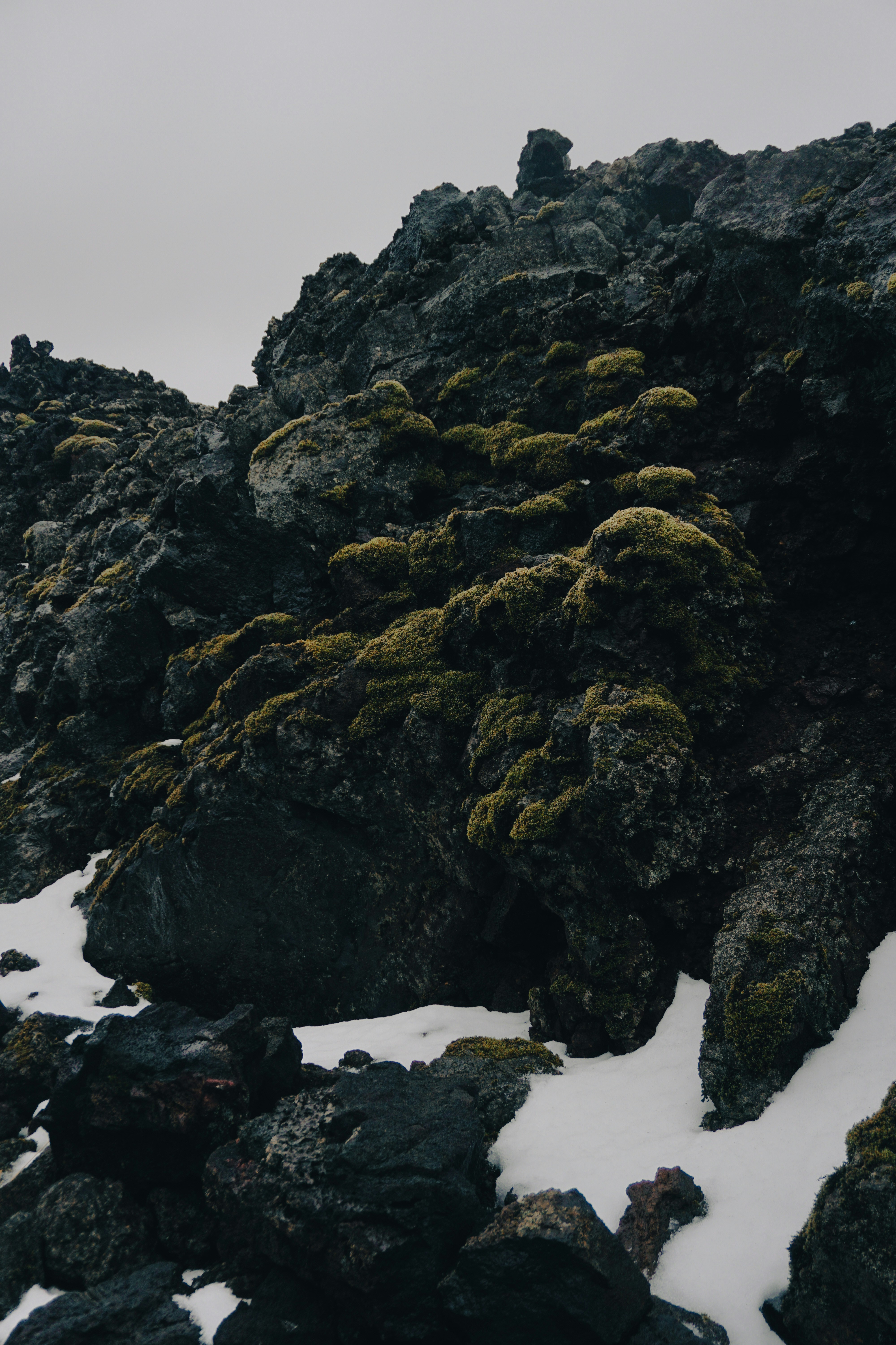 Moss-Draped Lava Rockscape Under a Quiet Winter Sky