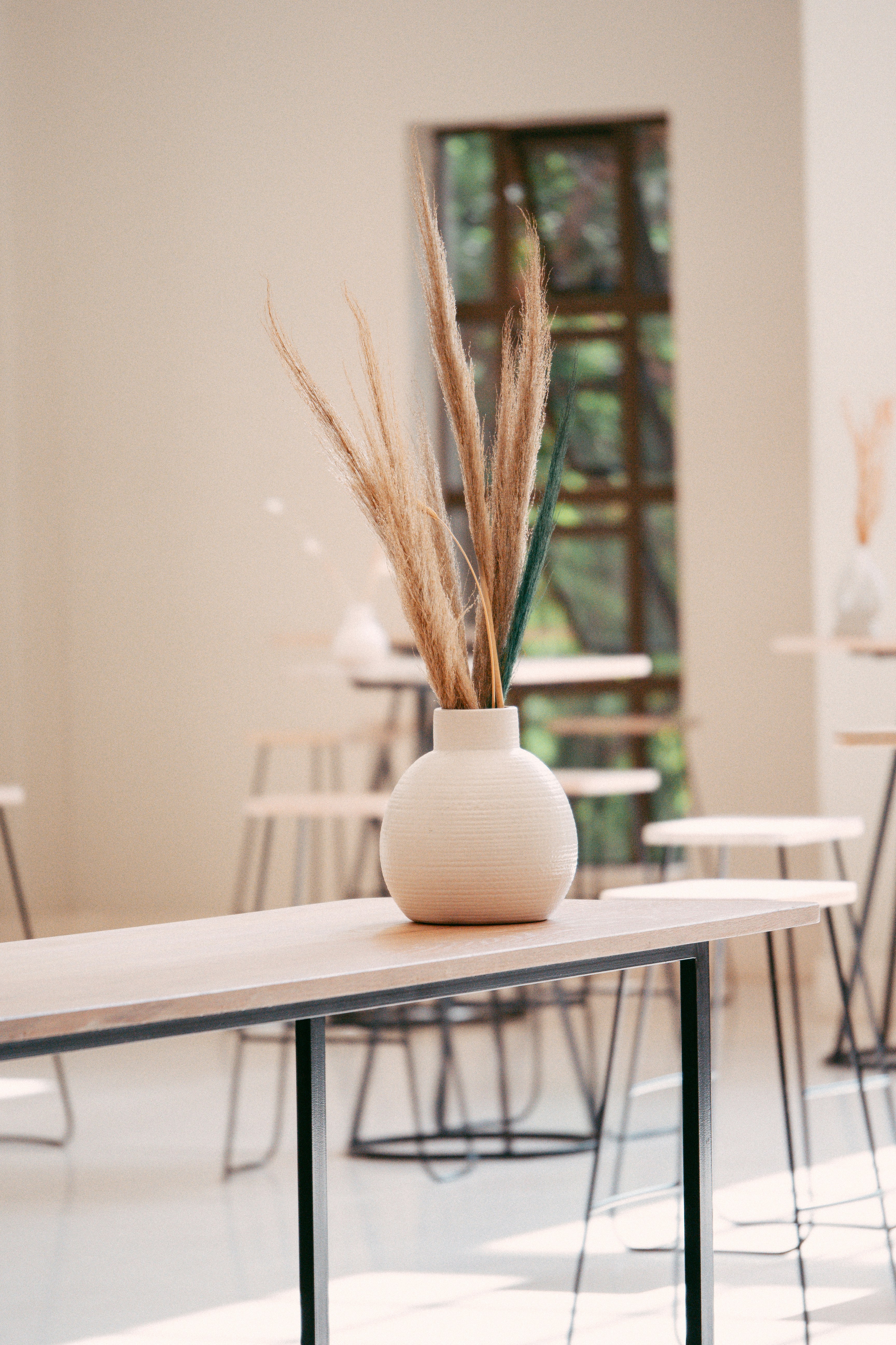 Quiet Minimalism: Pampas Vase Anchors a Sunlit Café