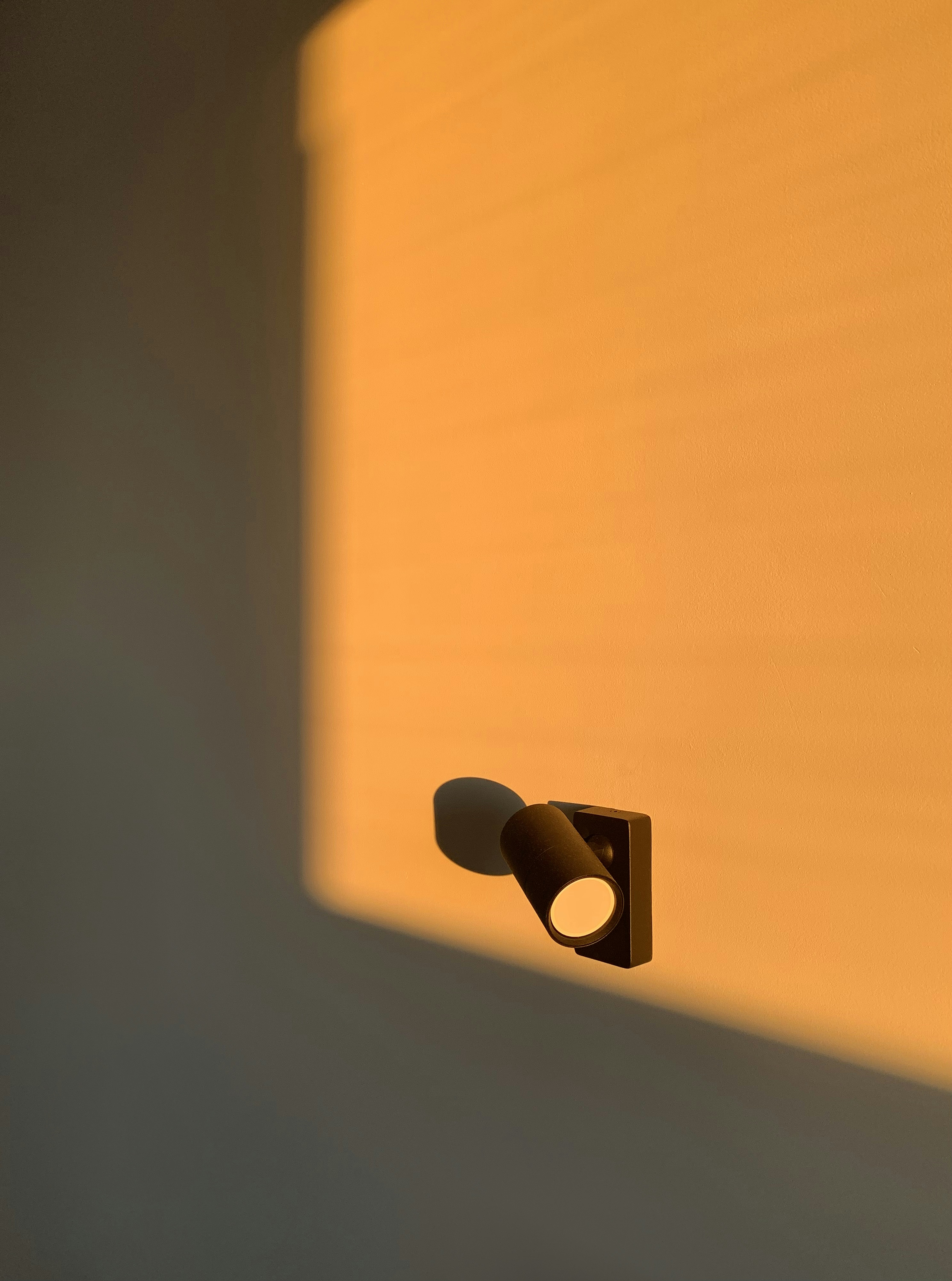 Photo by Maria Korniiova with Apple iPhone XS