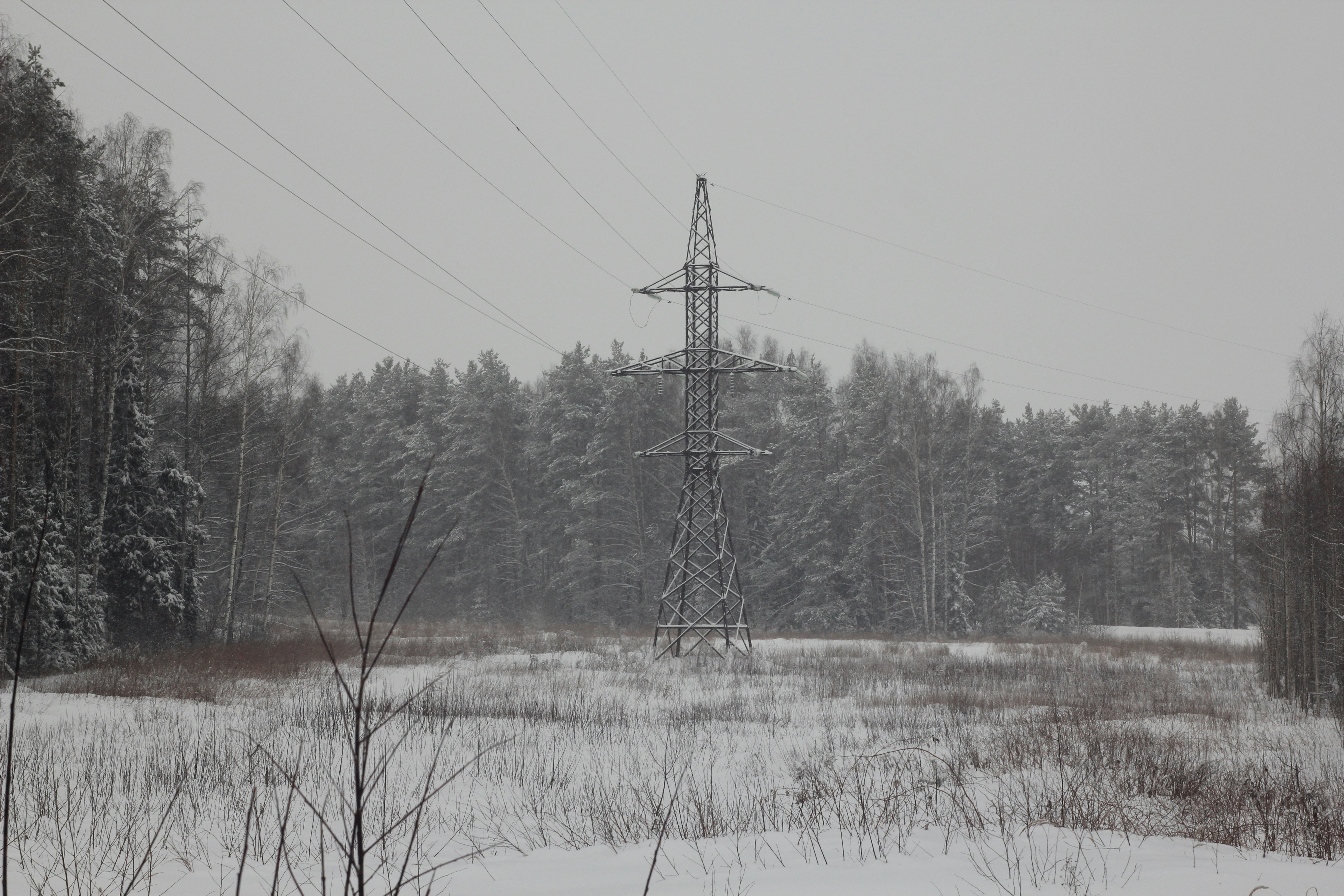 Midwinter Pulse: A Lattice Tower Framed by Snow and Pines