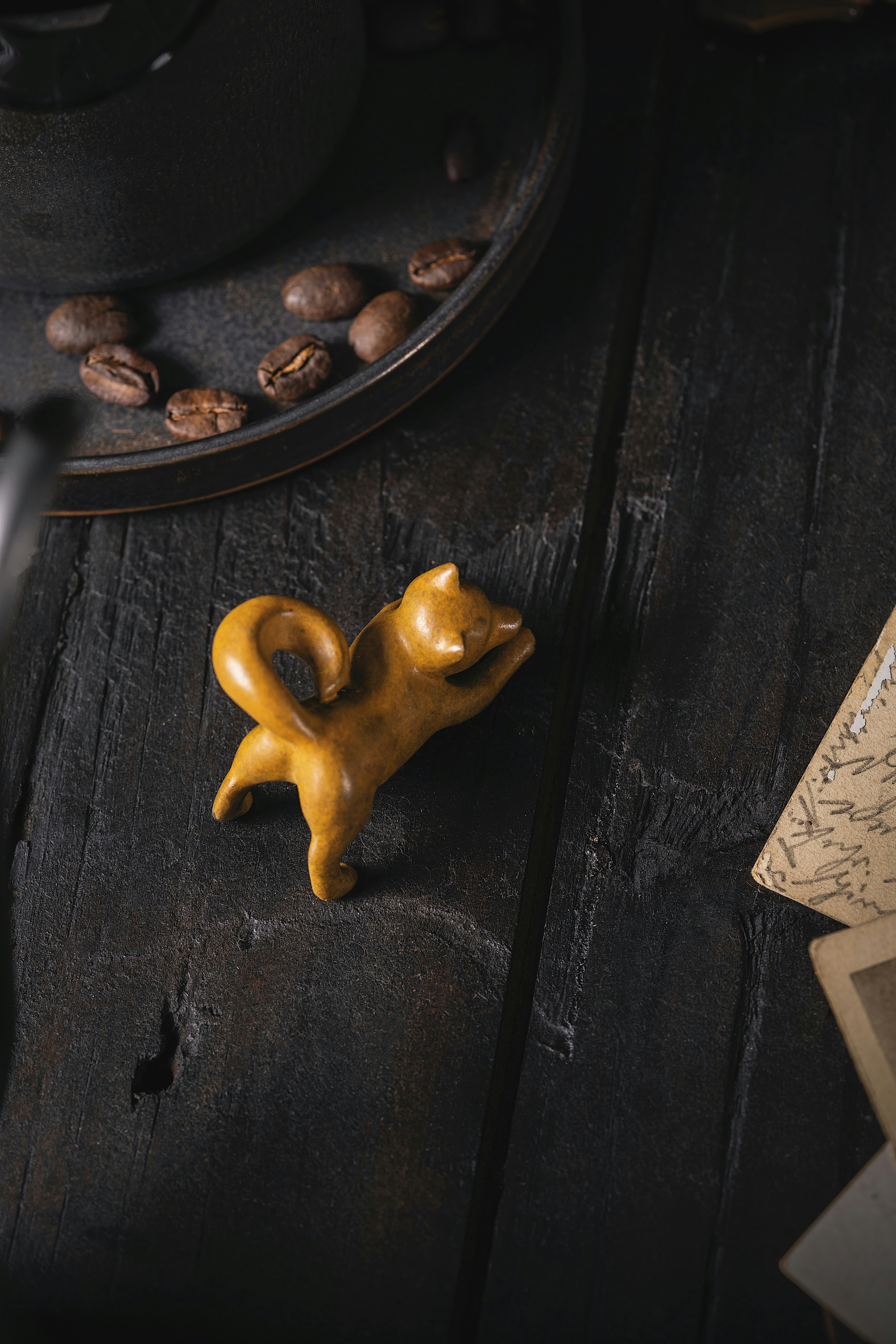Curious Citrus: A Tiny Cat Figurine Stages a Cocoa Coffee Morning