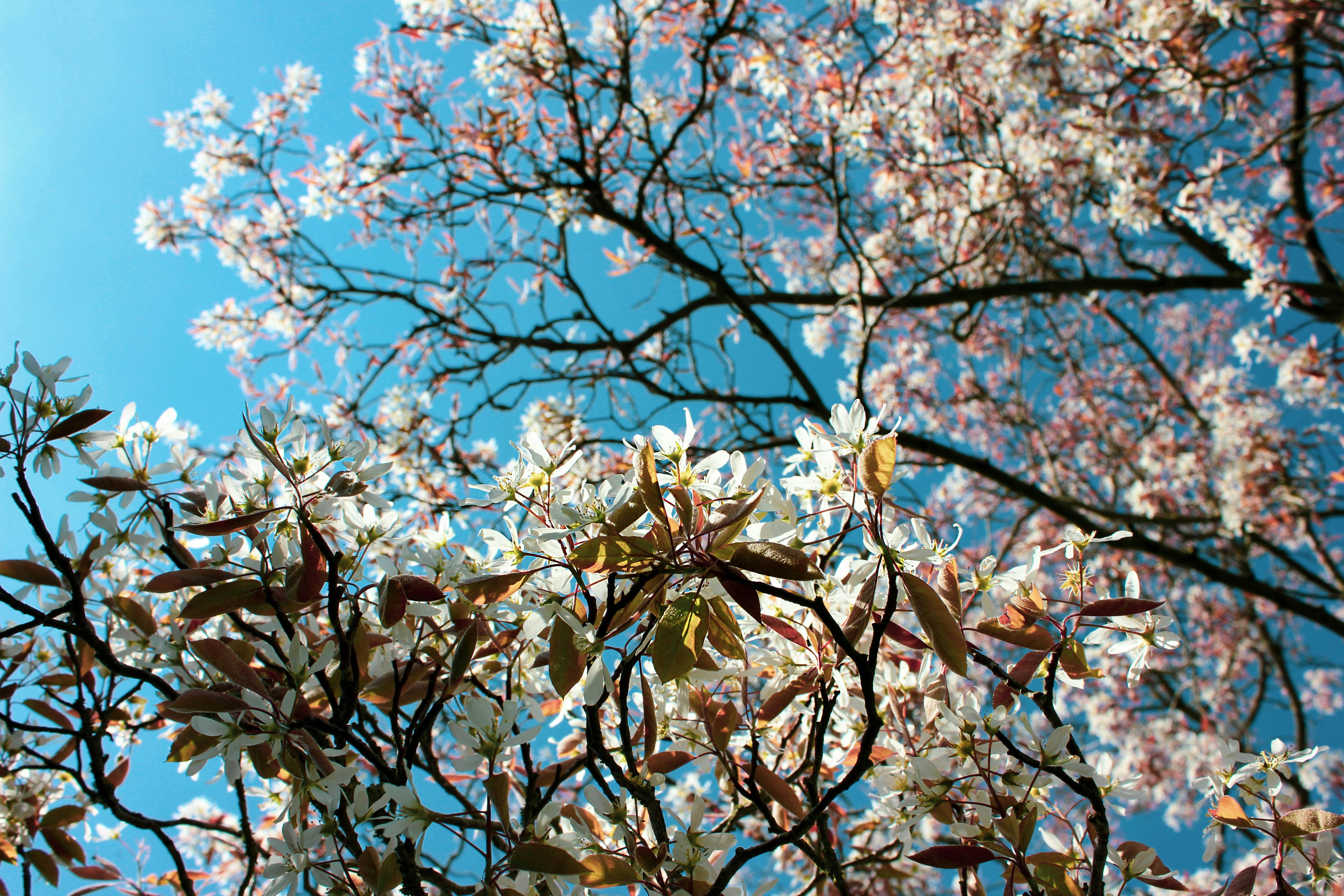 Spring Happy Pictures | Download Free Images on Unsplash