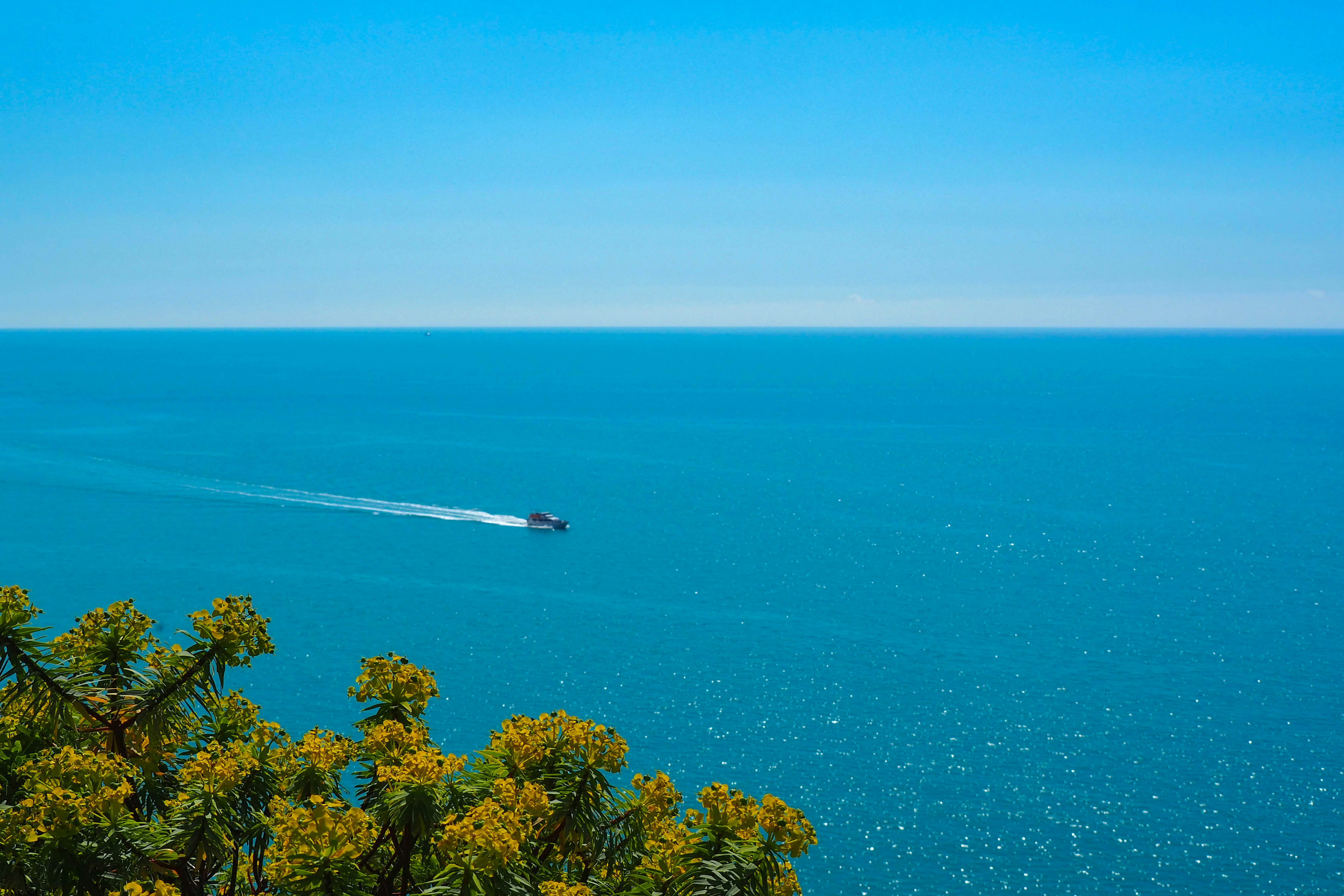 A small boat glides across the tranquil blue sea, framed by vibrant yellow flowers in the foreground.