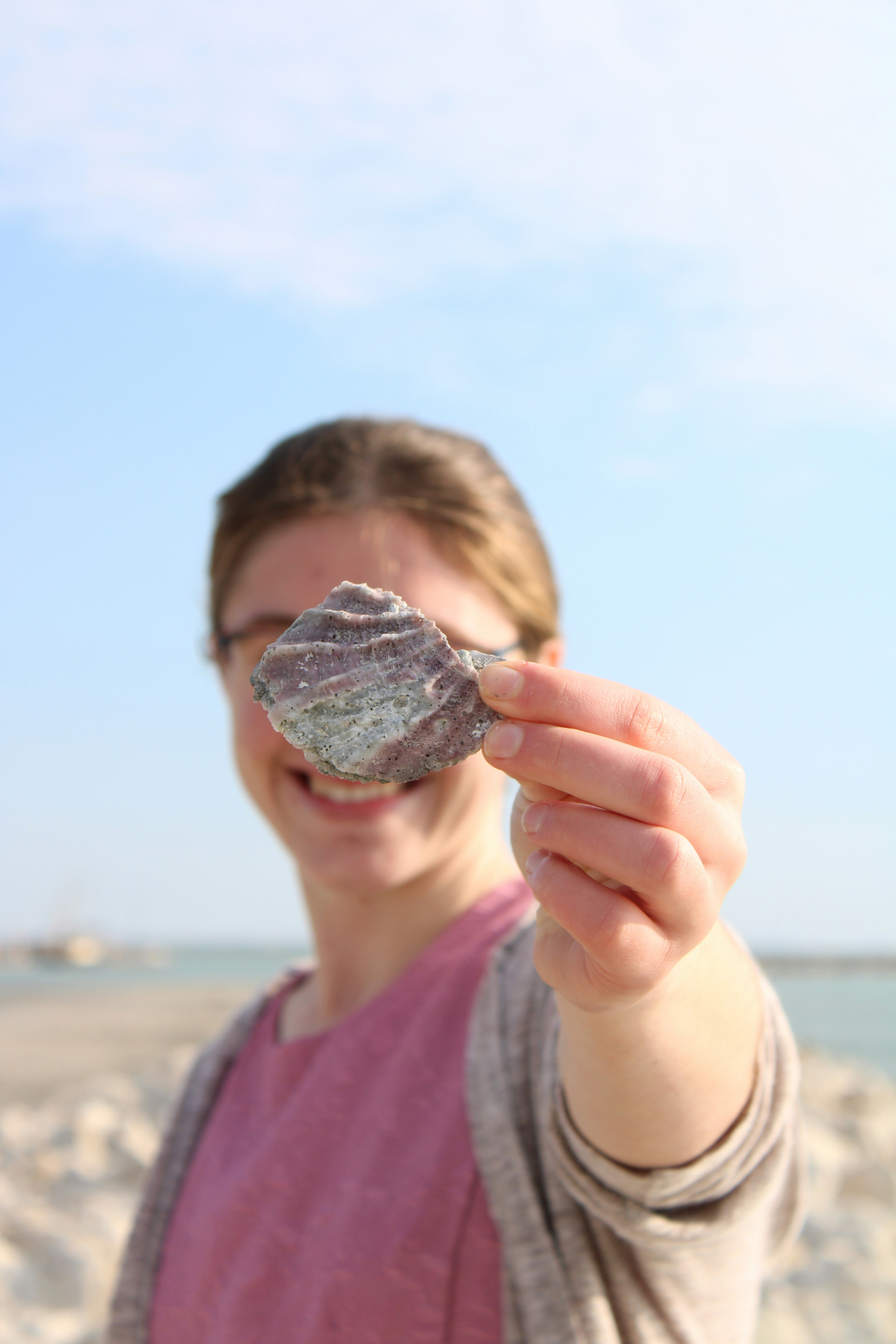 Seashell Discovery by the Shoreline