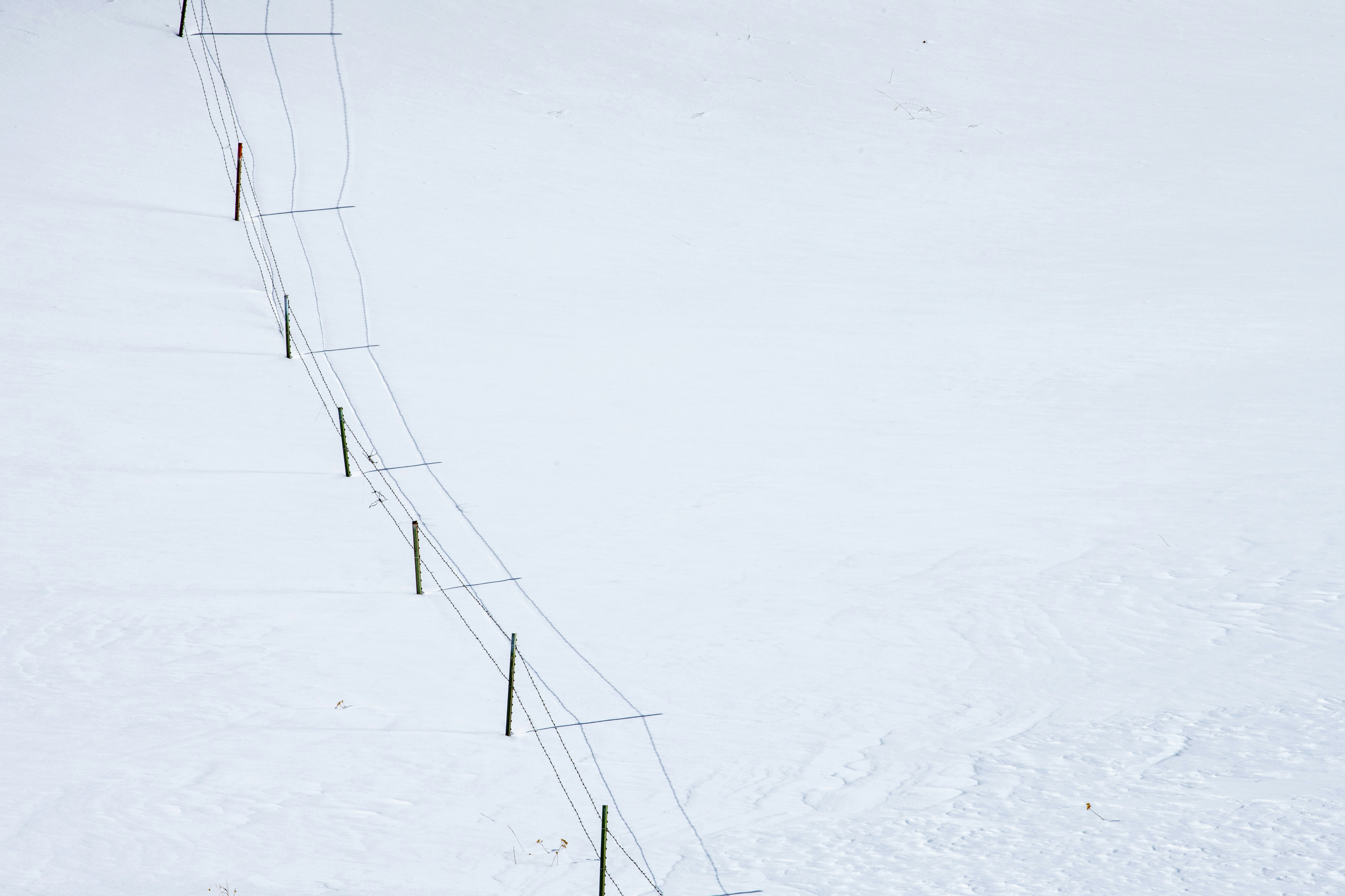 Diagonal Fence Through a Quiet Snowfield