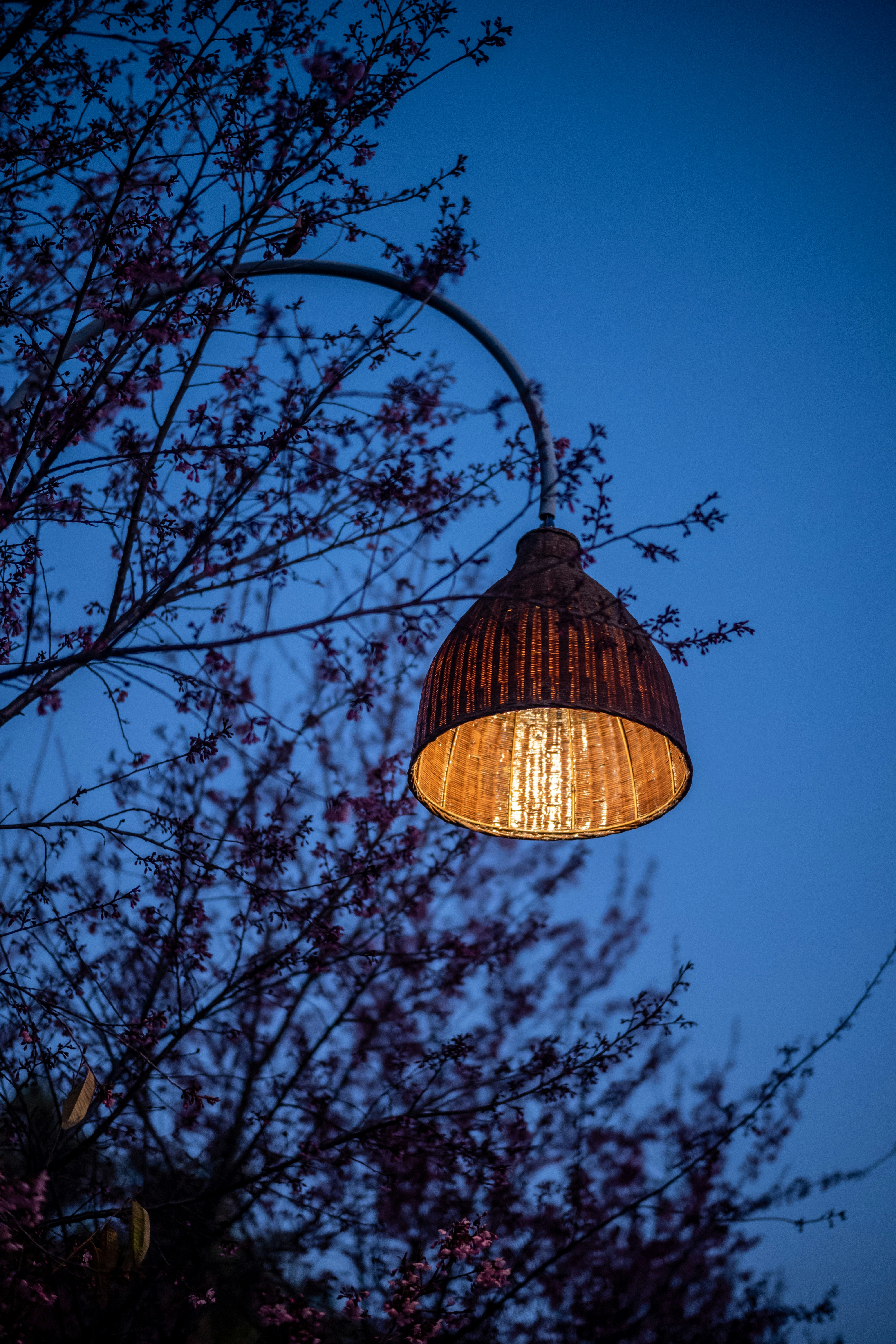 zhang dayong (@dayongzhang) | Komunitas Foto Unsplash