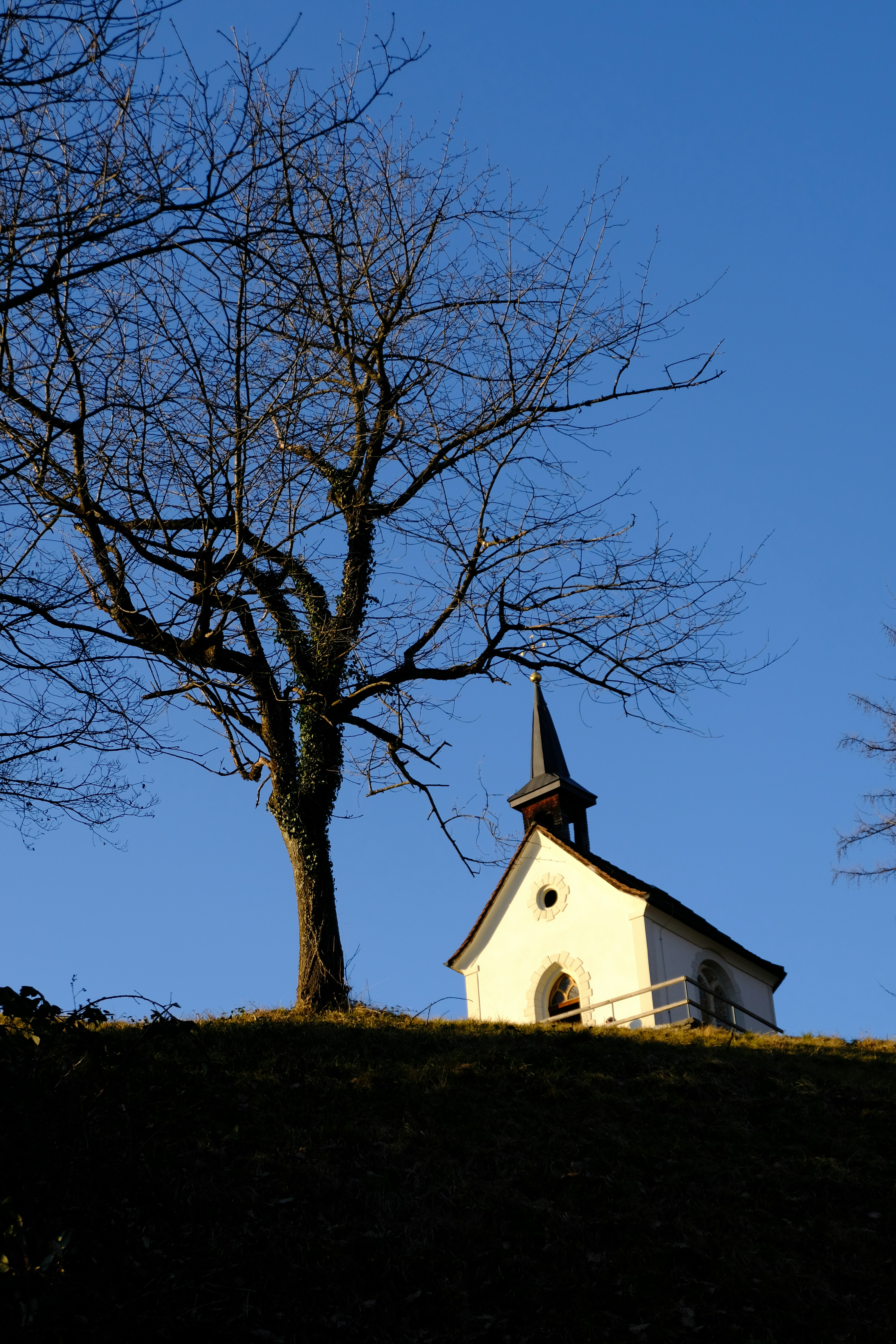 Winter Spire on the Hill: A Chapel Framed by a Leafless Tree