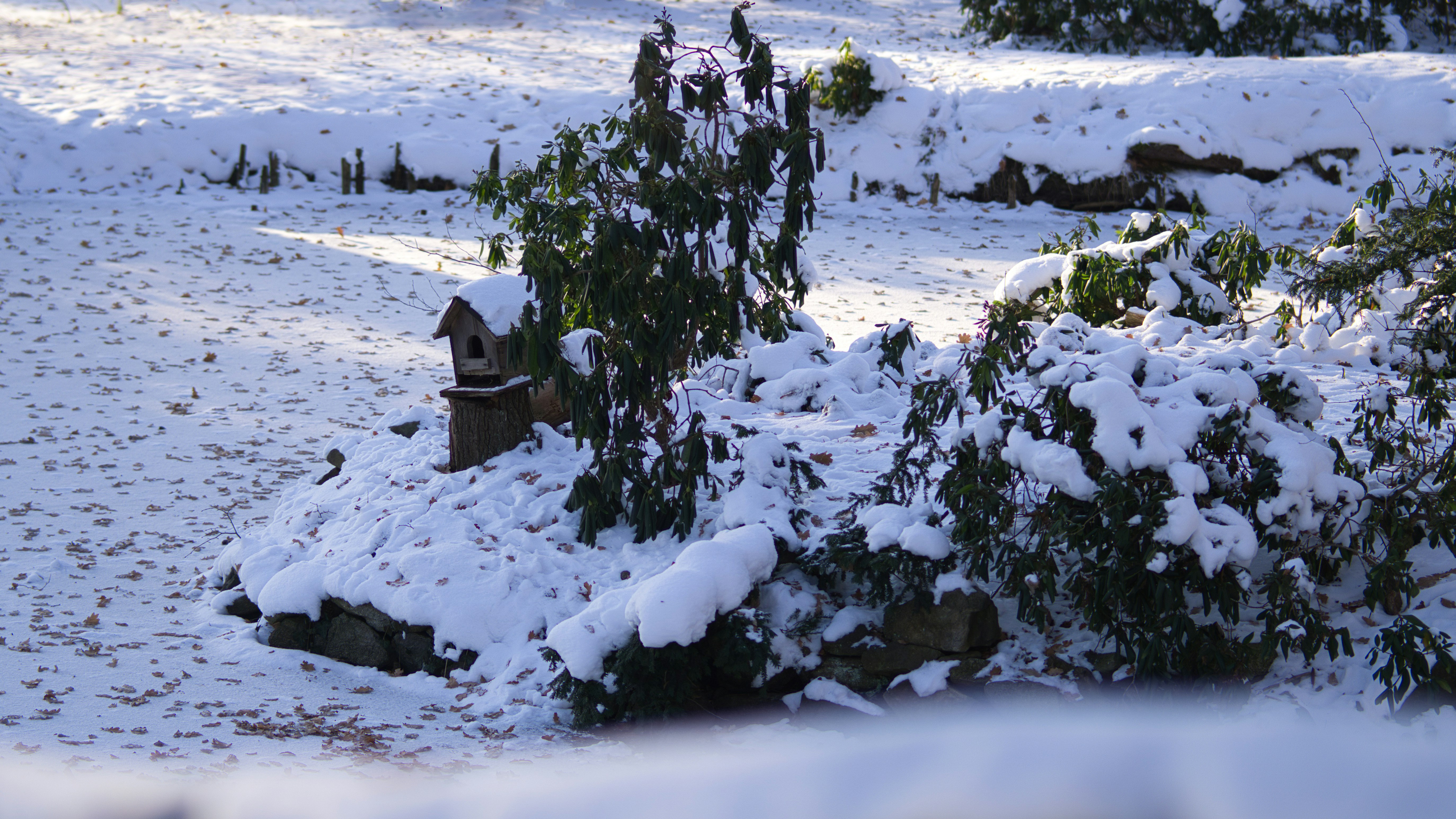 snowy duck house on frozen lake