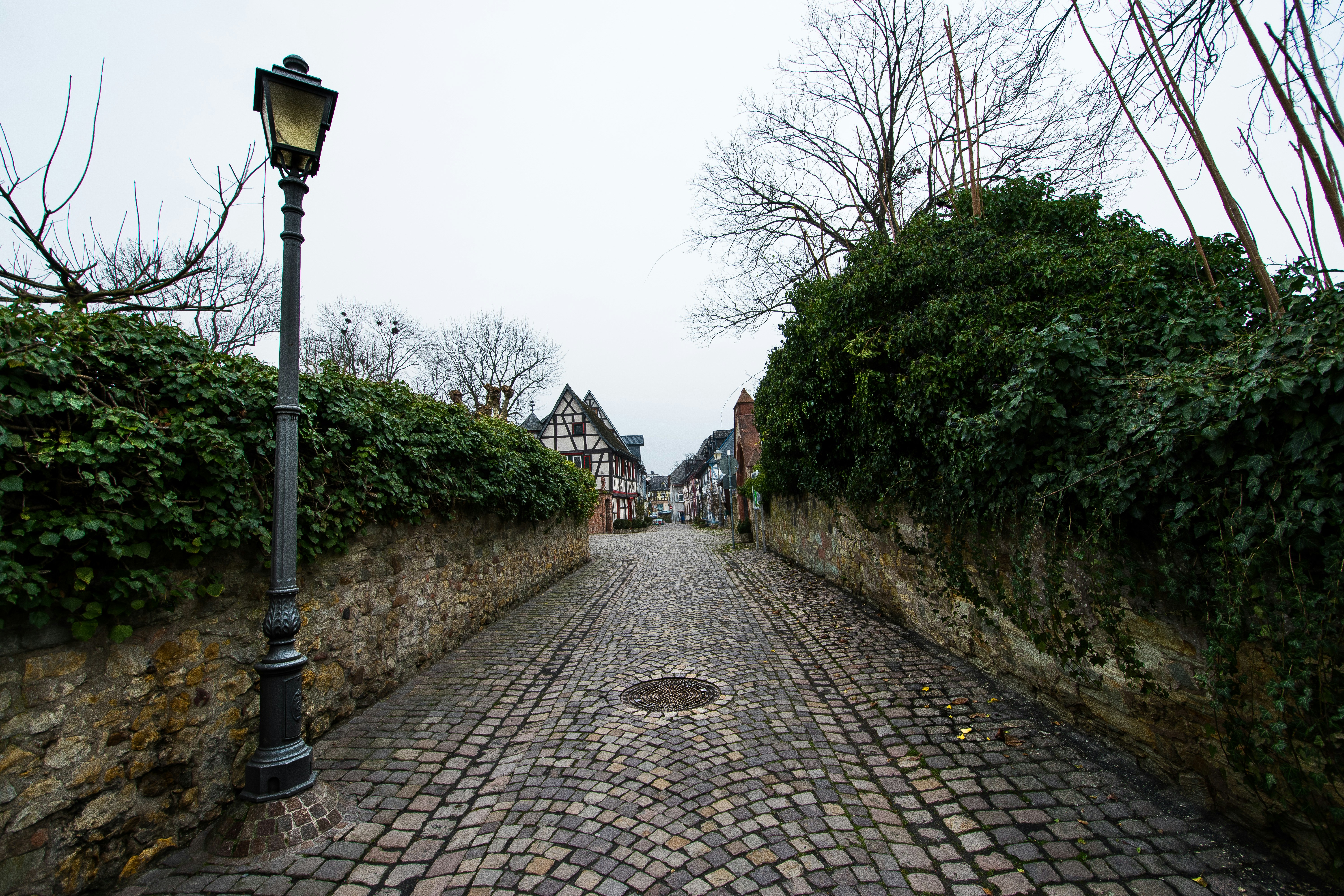 Cobblestone Corridor: Lamplight and Timbered Houses Fade into the Distance