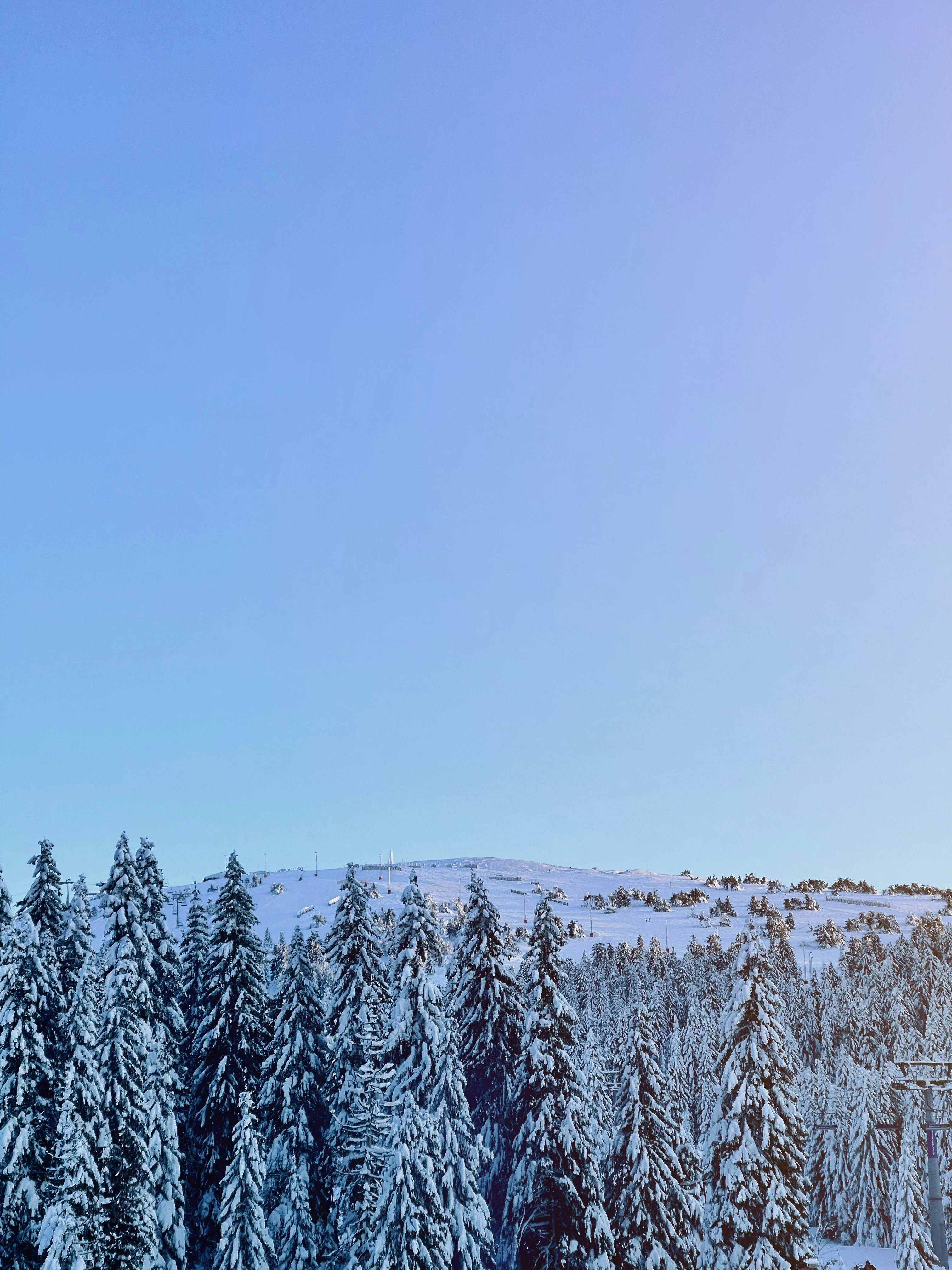 Snow-laden evergreen trees blanket a serene landscape under a gradient sky, hinting at the tranquility of winter. The scene evokes a sense of peaceful isolation.