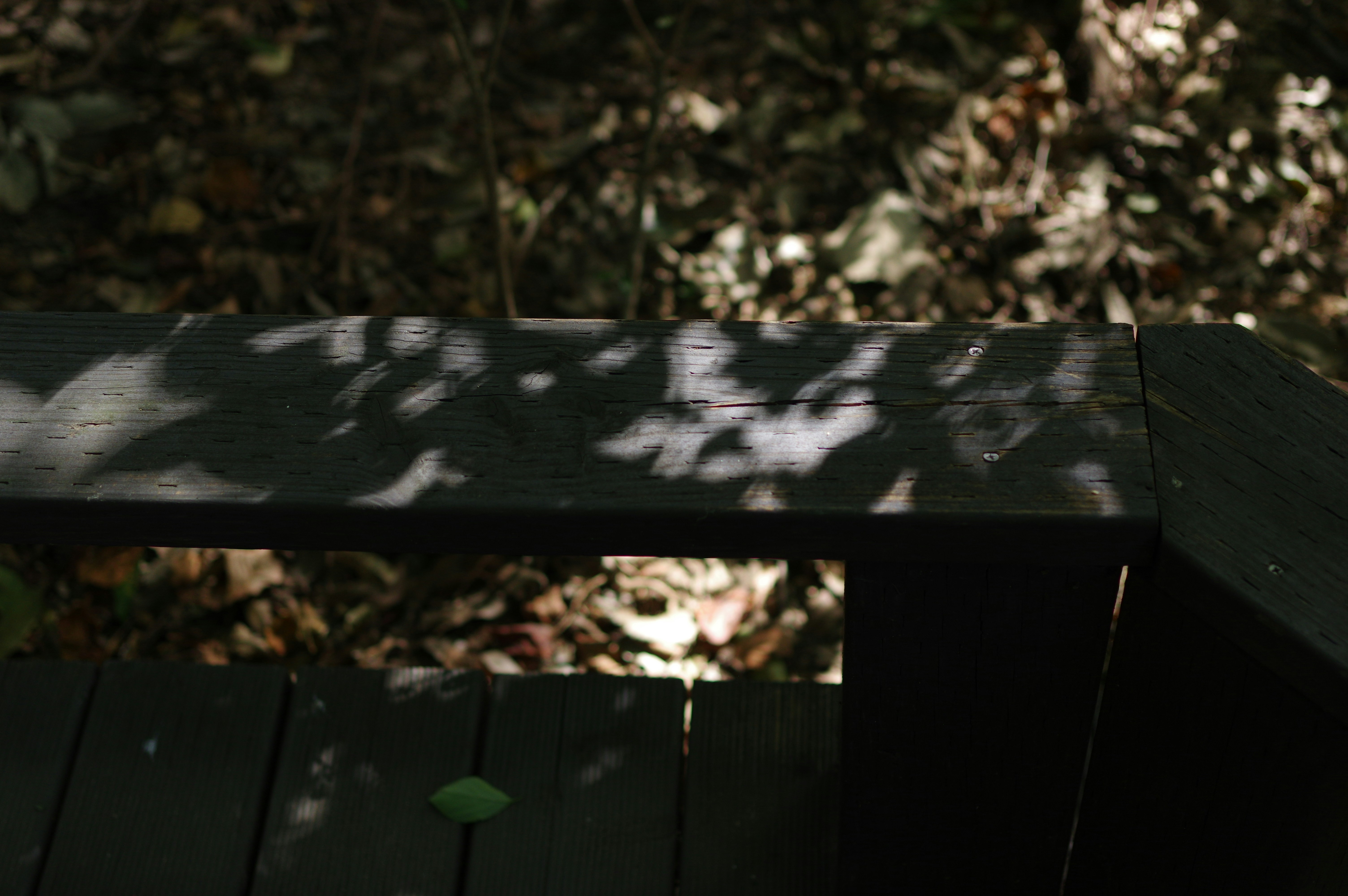 a wooden bench sitting in the middle of a forest