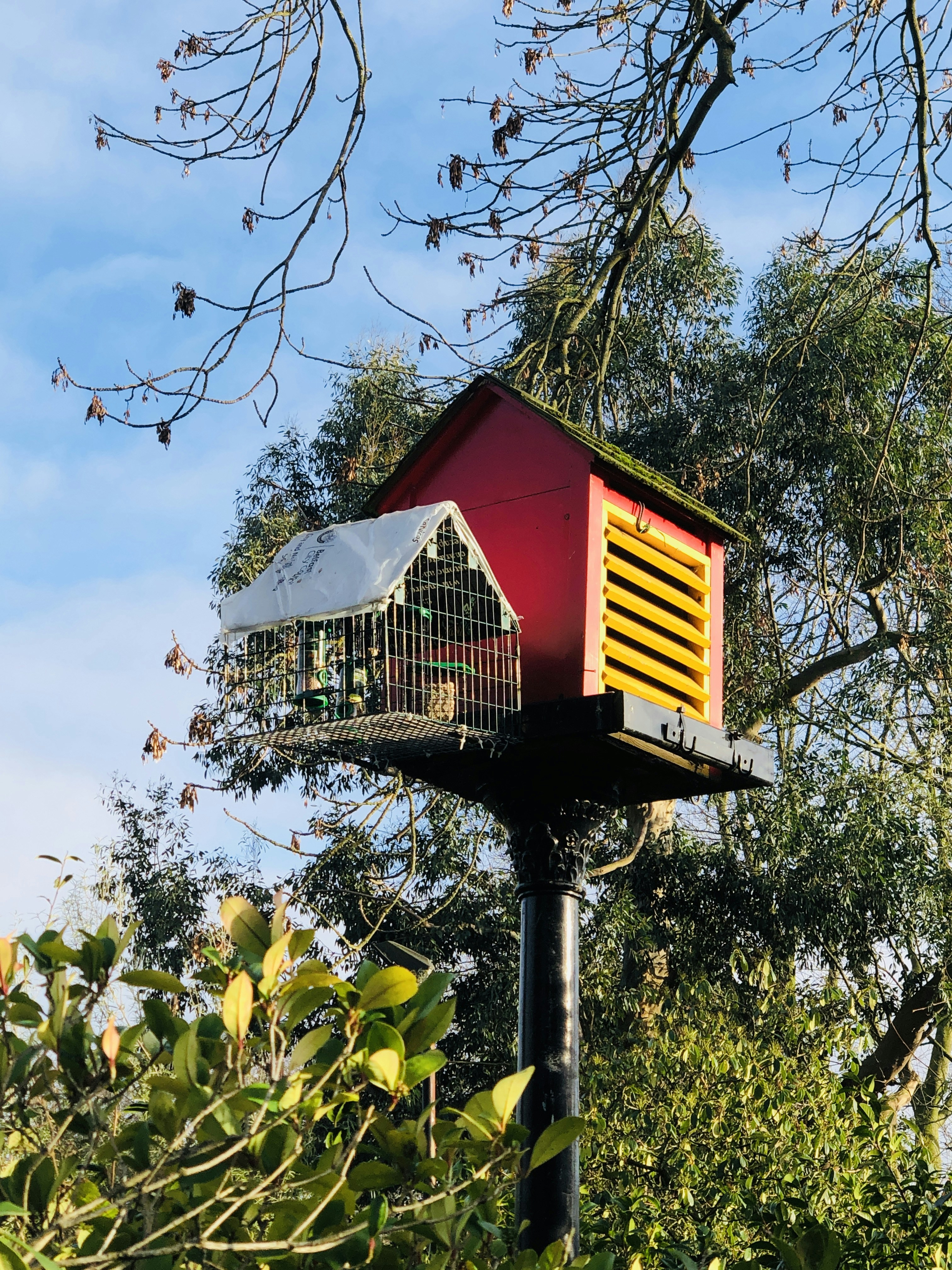 Crimson Haven on a Silent Post: A Bright Birdhouse against a Clear Blue Sky