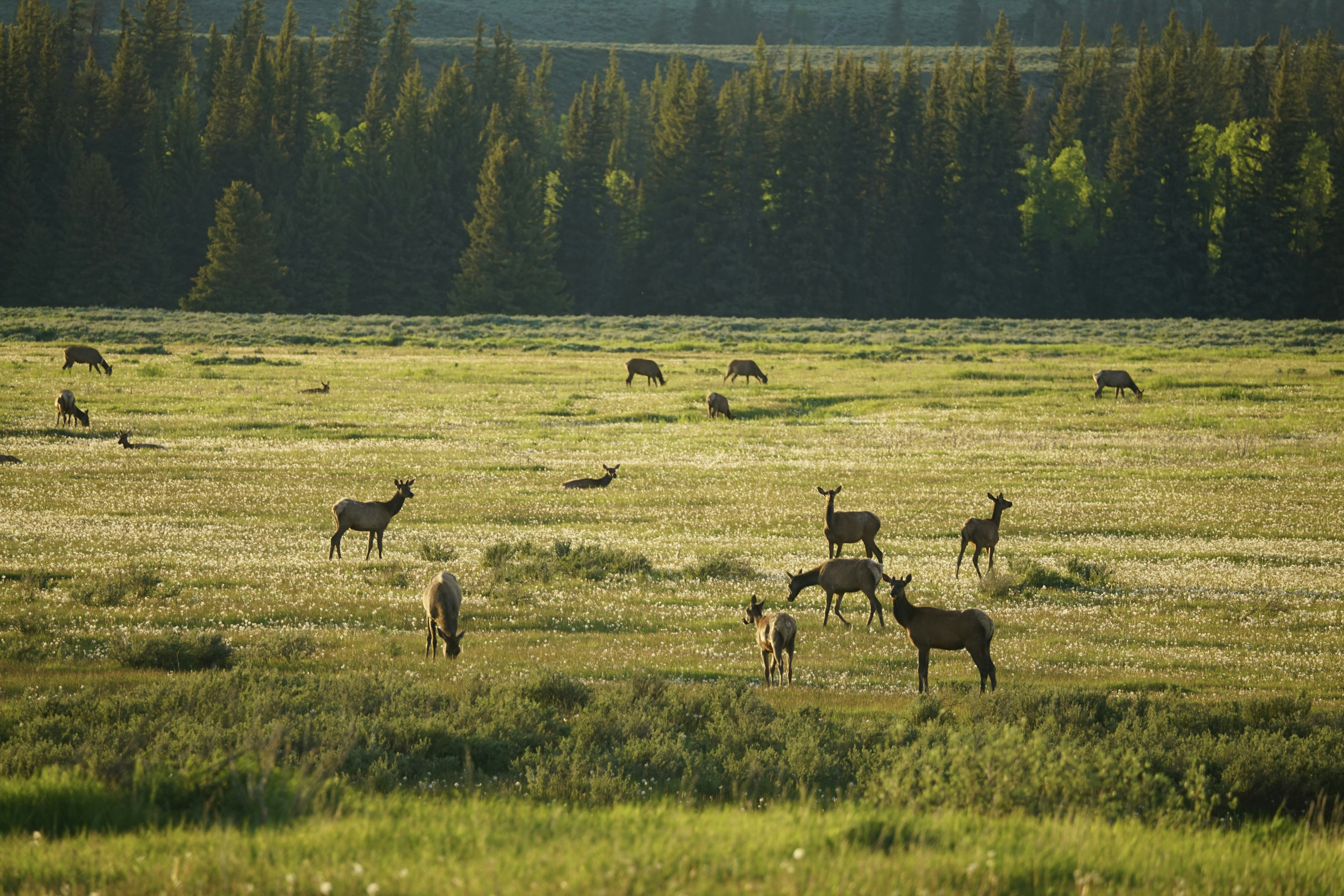 Photo by Yuanpang Wa with Sony Alpha 7R II