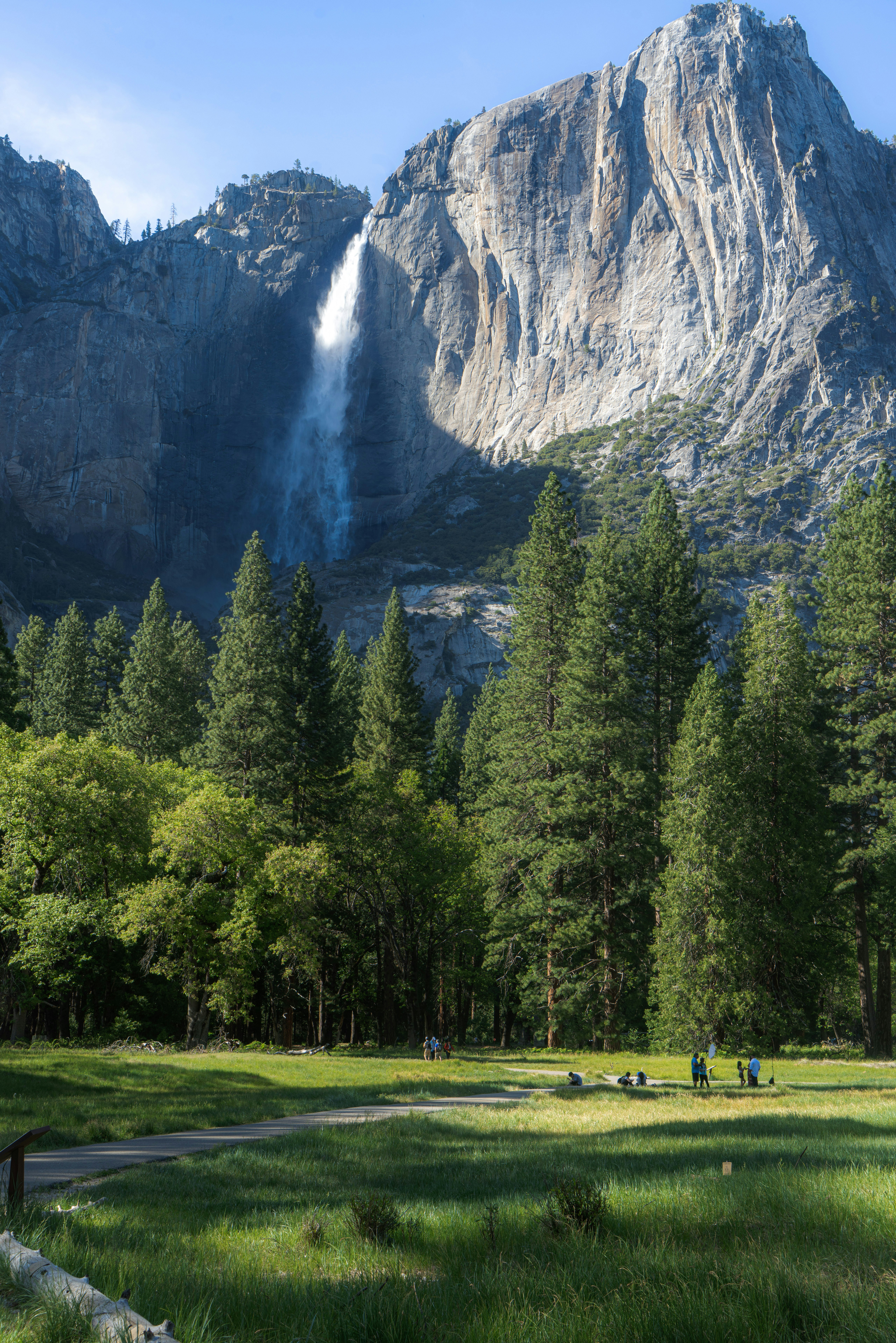 Granite Veil: A Narrow Waterfall Carving Light Through Pine Valley