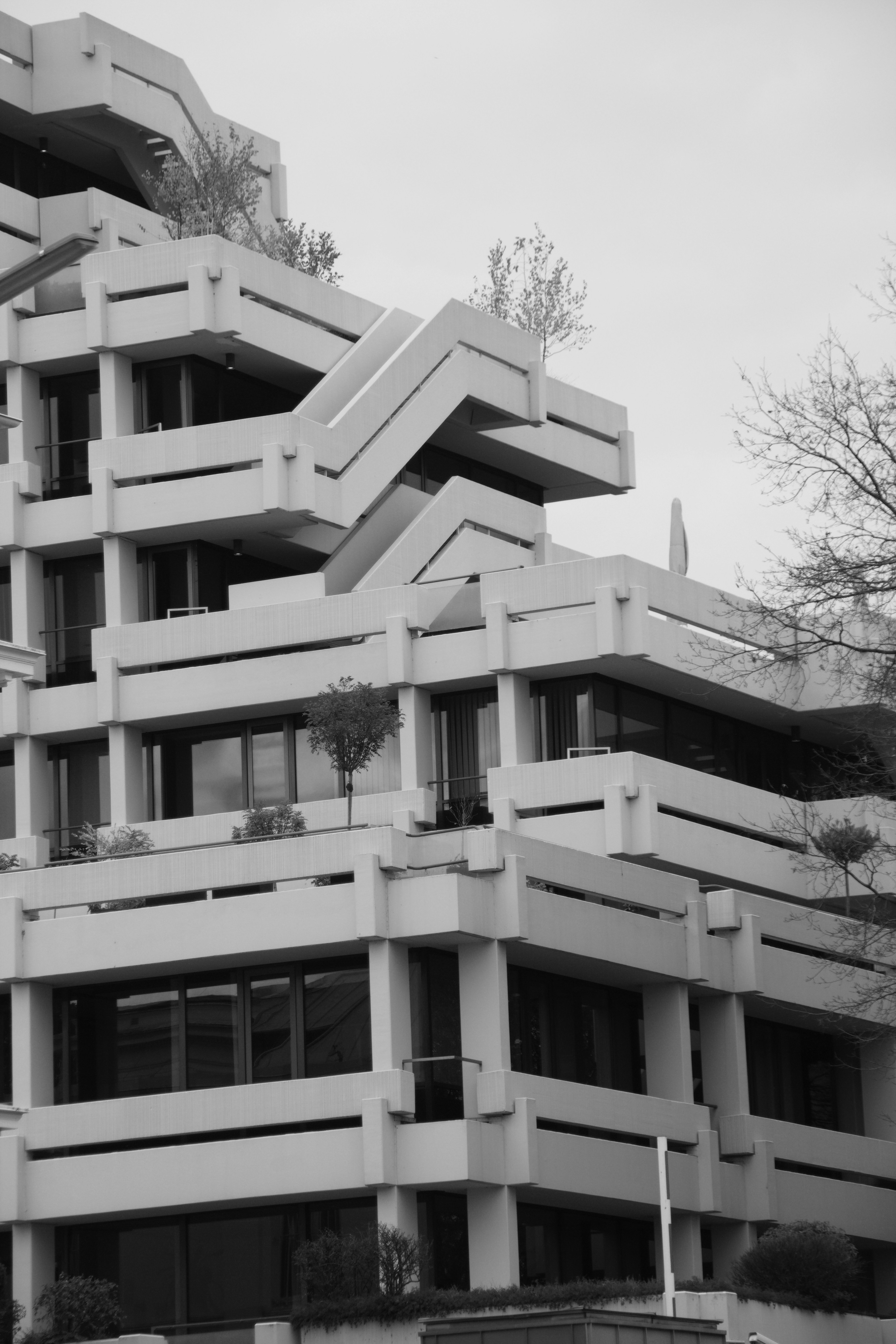 Concrete Cascade: Interlocking Terraces and Sparse Greenery