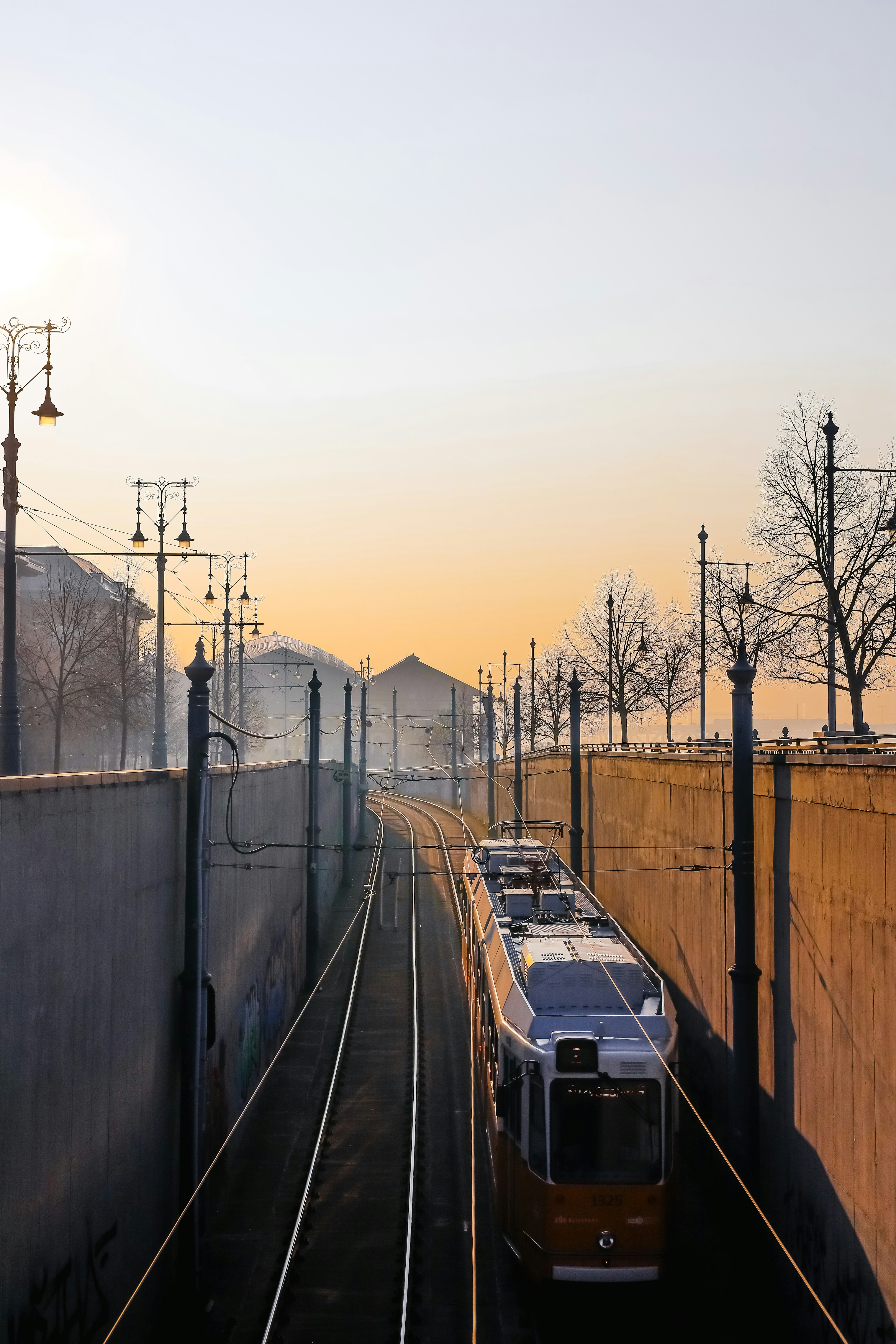 Dawn on Rails: A Train Carves Through a Golden Corridor