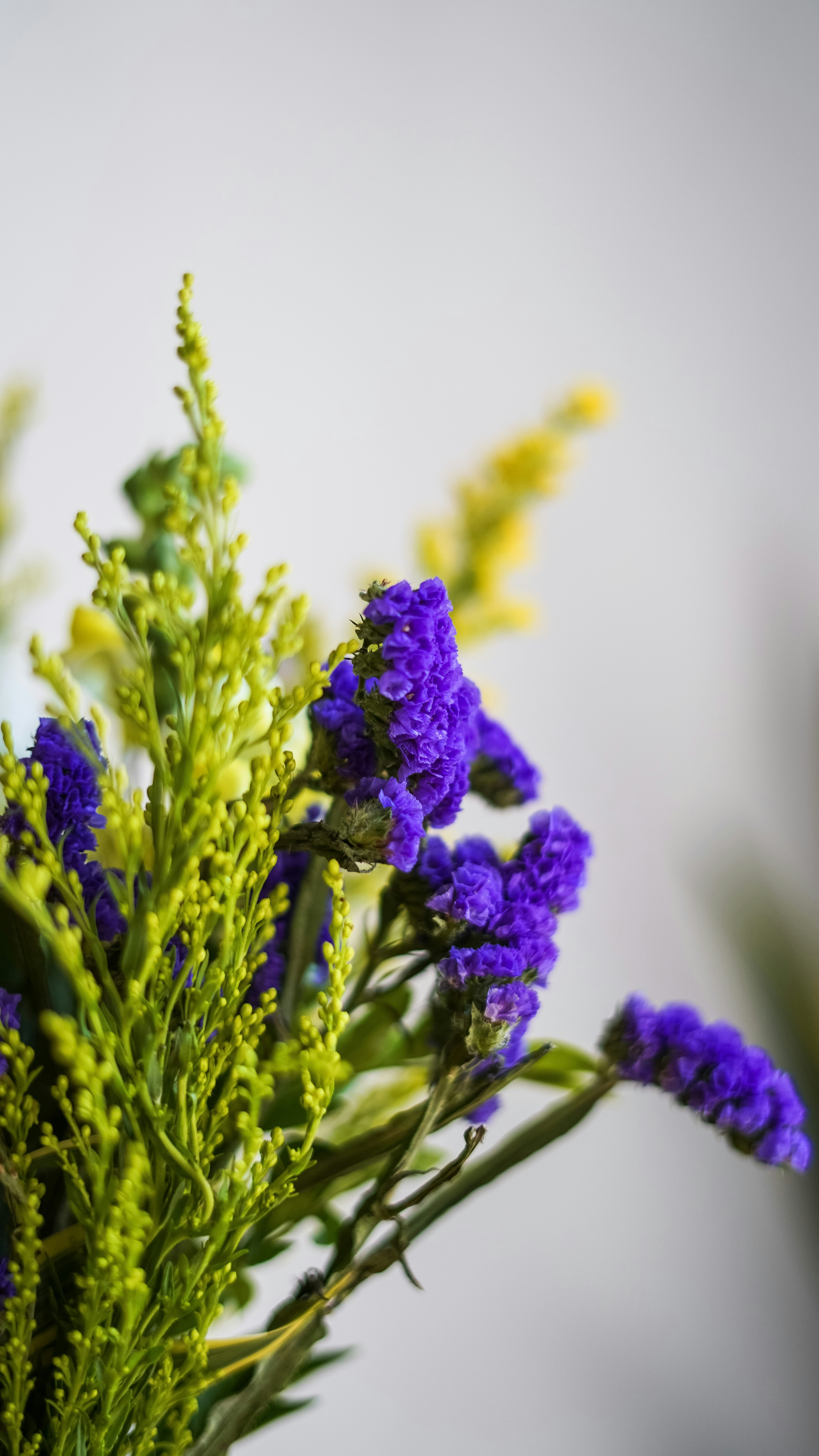 Vinitha V (@vinitha_v) | Unsplashフォトコミュニティ