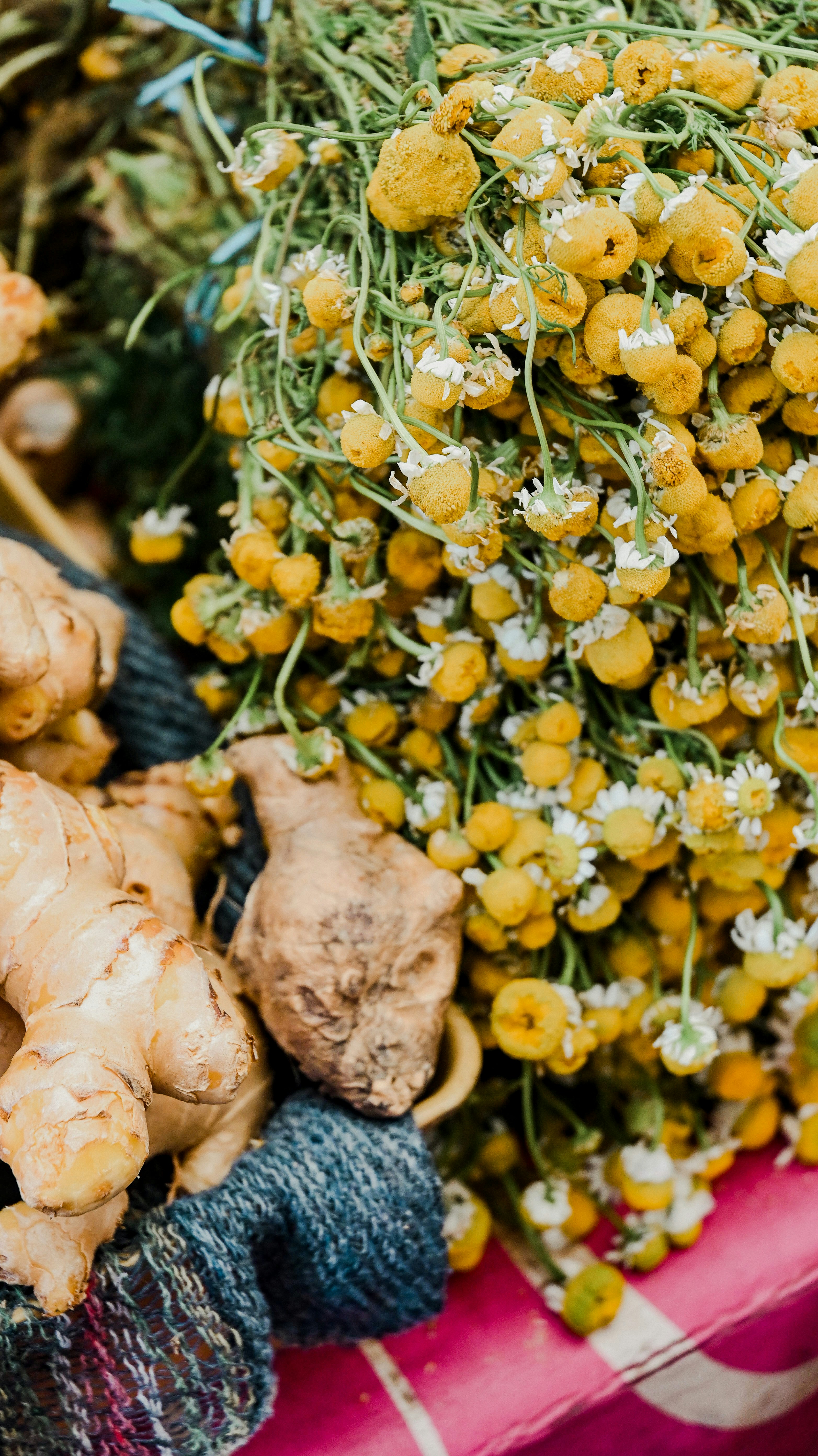 Close-up of golden flower clusters with white accents and rough ginger roots held by gloved hands, set against a colorful market display.