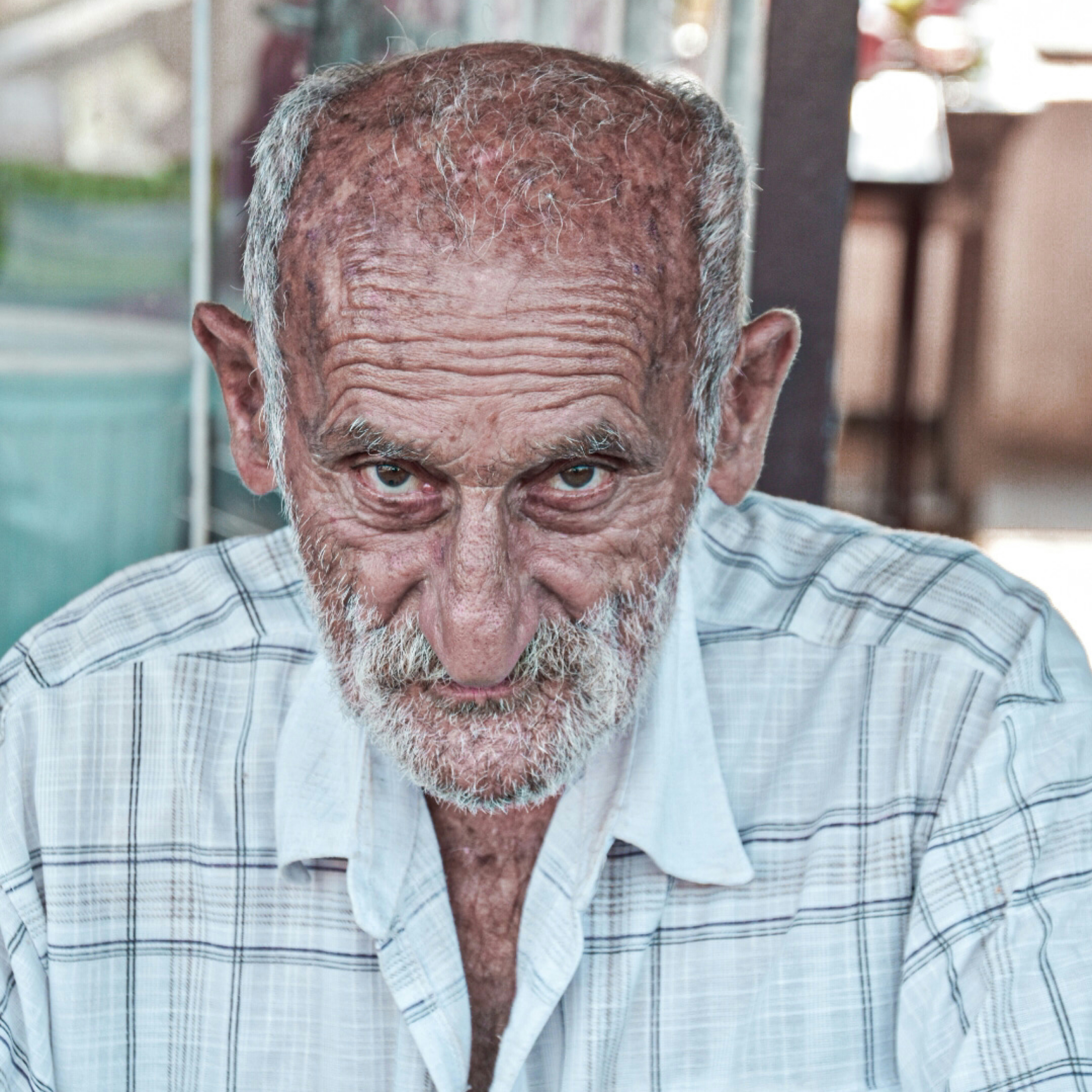 An old man with a white beard is looking at the camera photo – Free ...