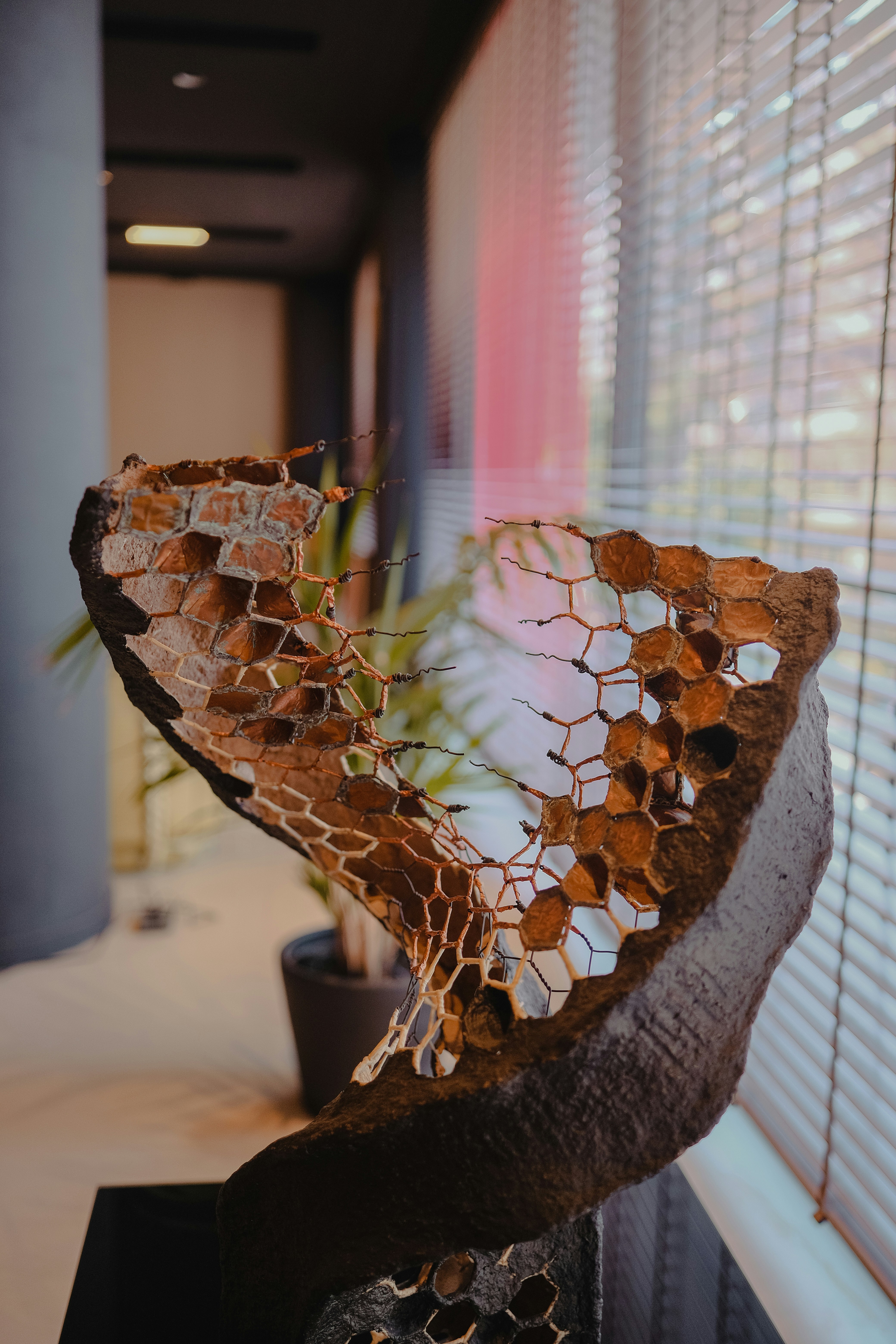 Fractured Grace: A Piece of Honeycomb on a Weathered Sculpture