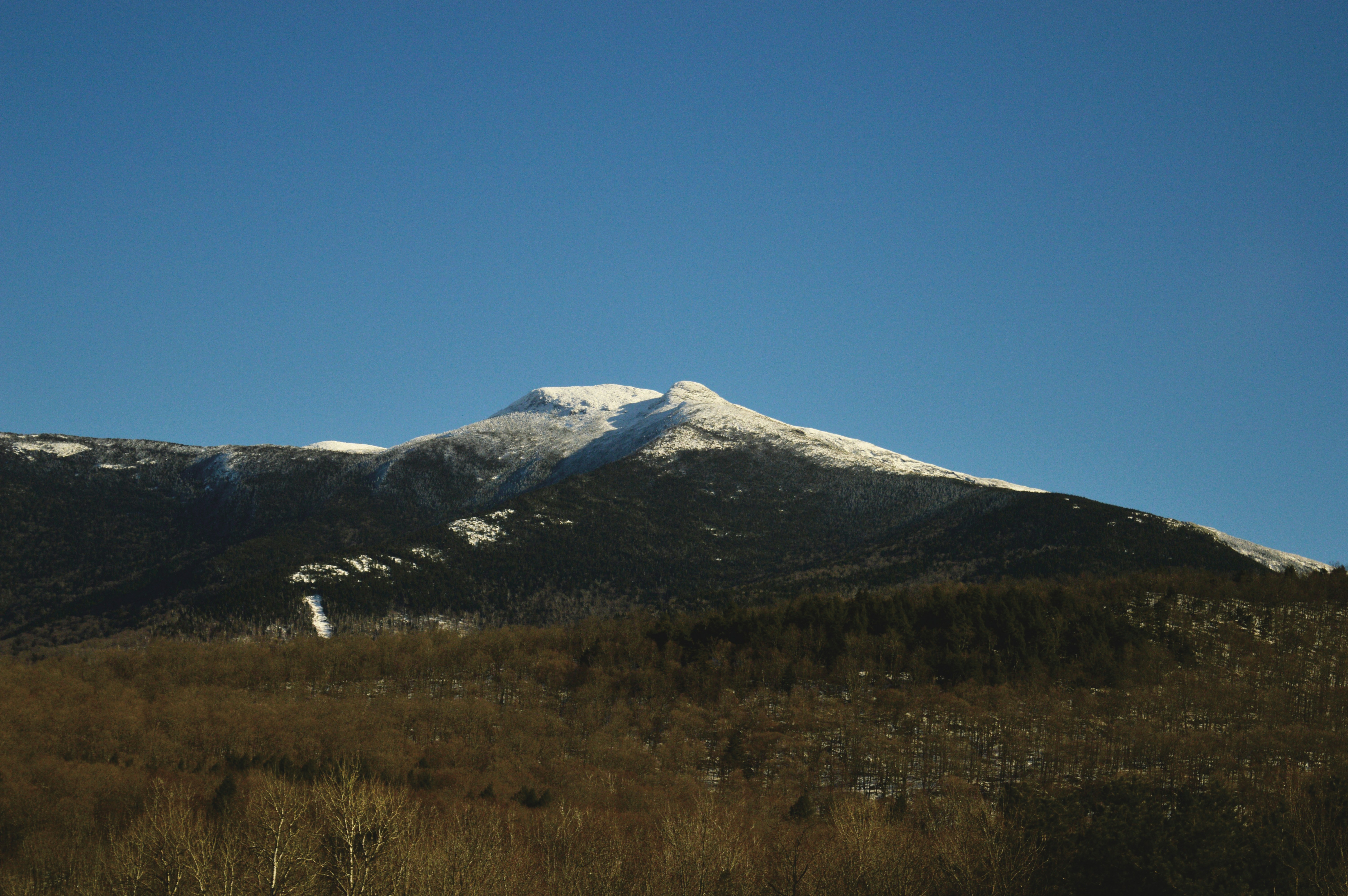 Snow-covered mountain peak against a clear blue sky with a foreground of dry vegetation.