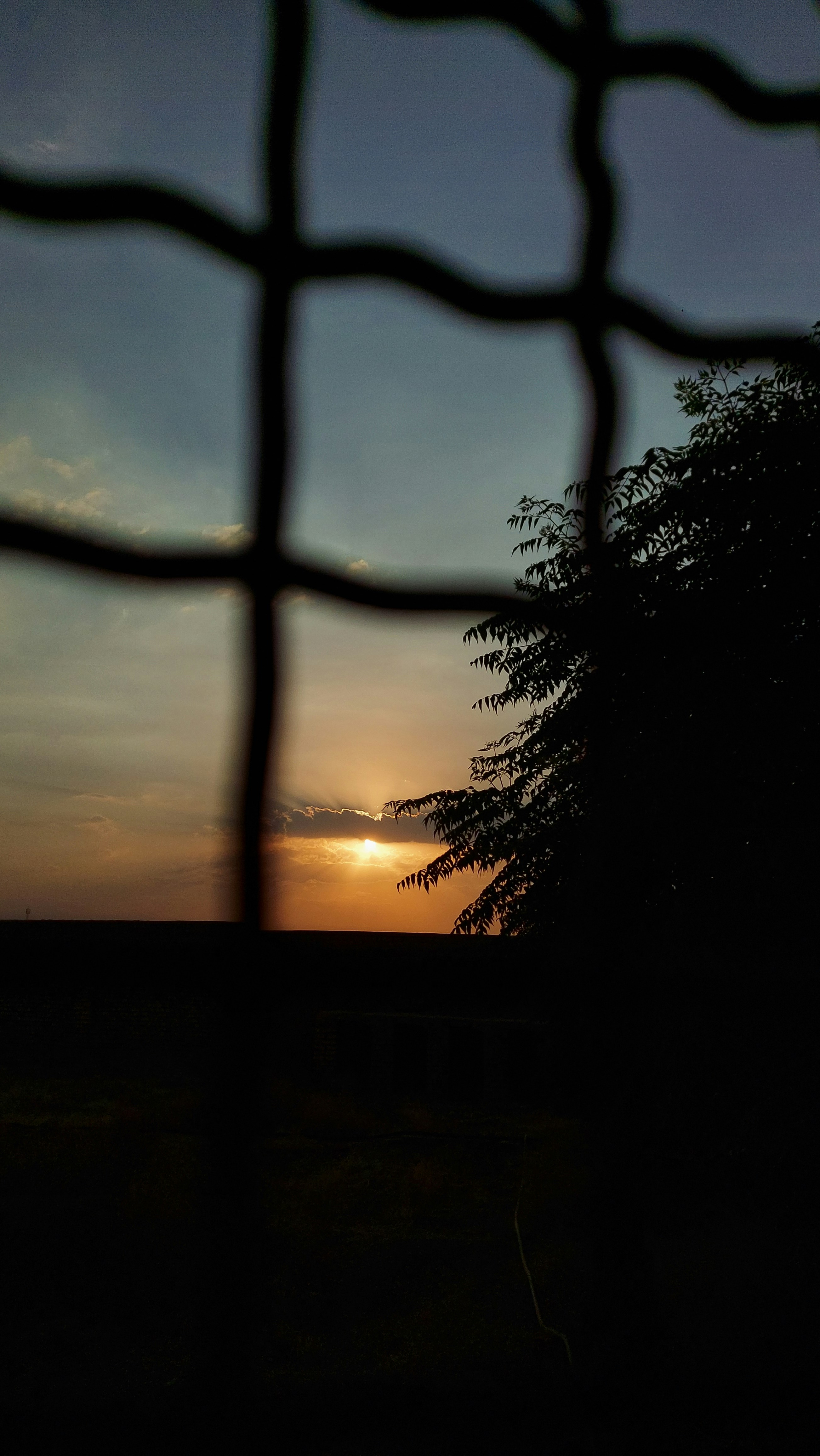The sun is setting behind a wire fence photo – Free Image on Unsplash