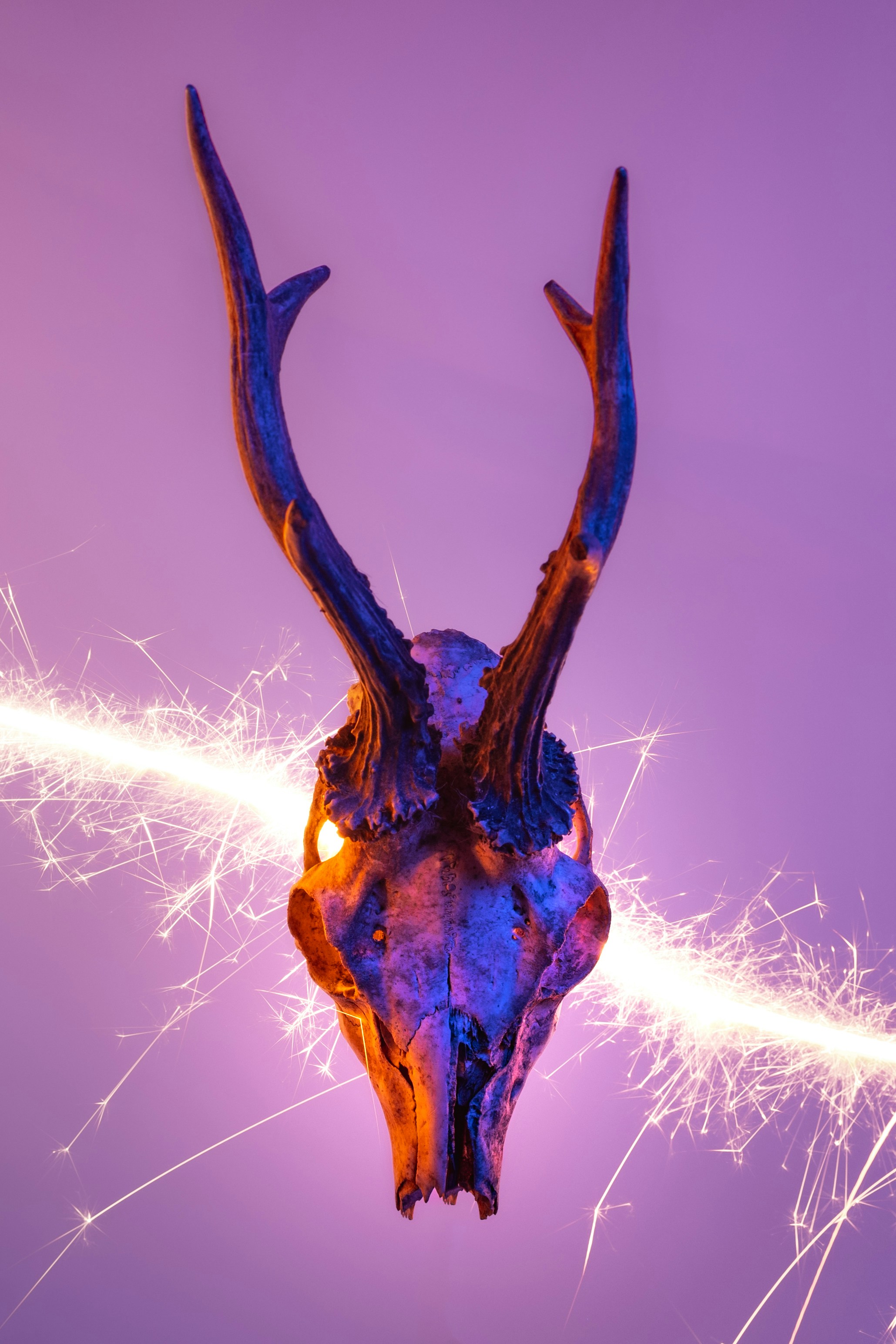 Neon Spark Arc Over a Violet Deer Skull