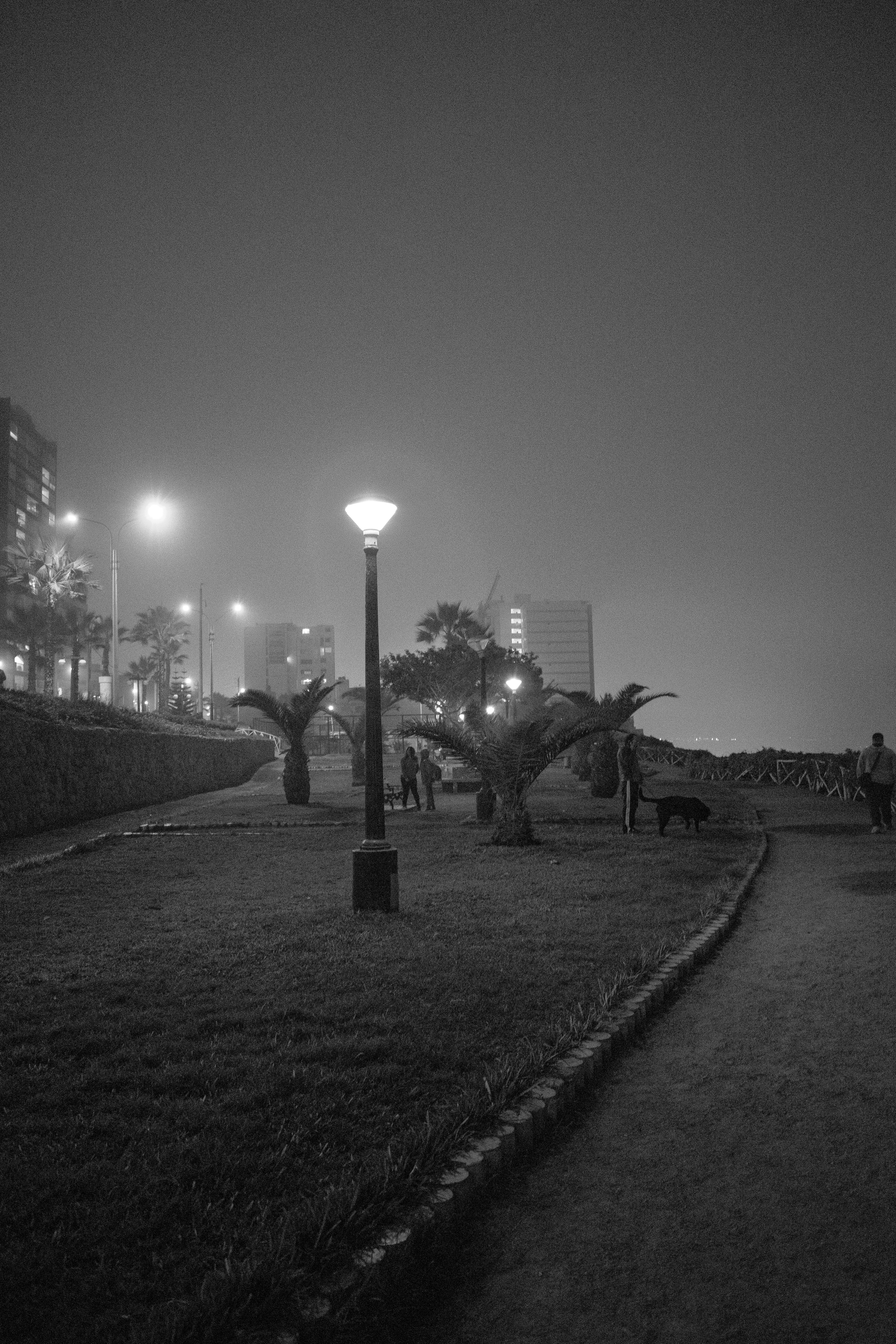 a black and white photo of a park at night