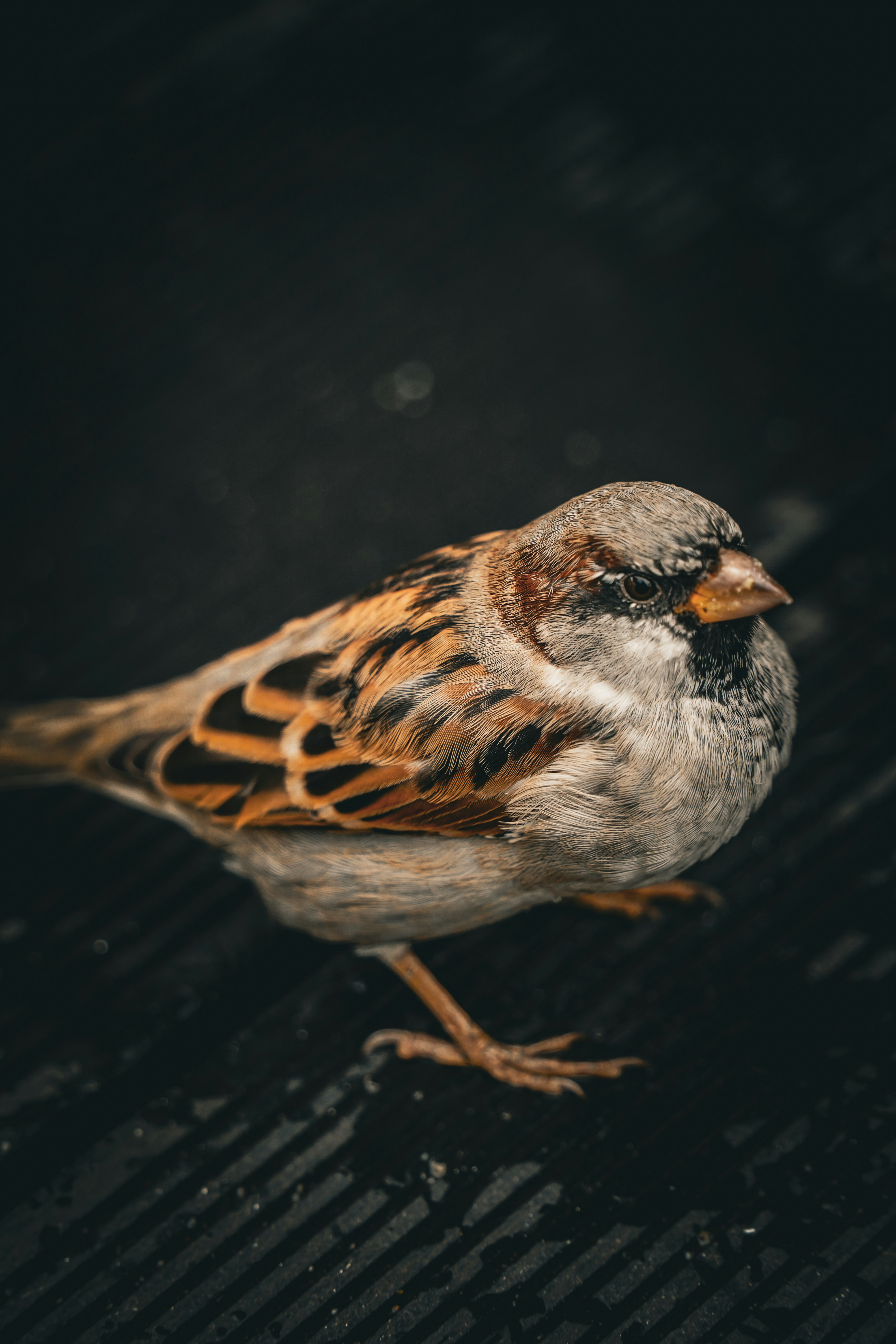 Photo by Kateryna Sheliuk with Sony Alpha 7C