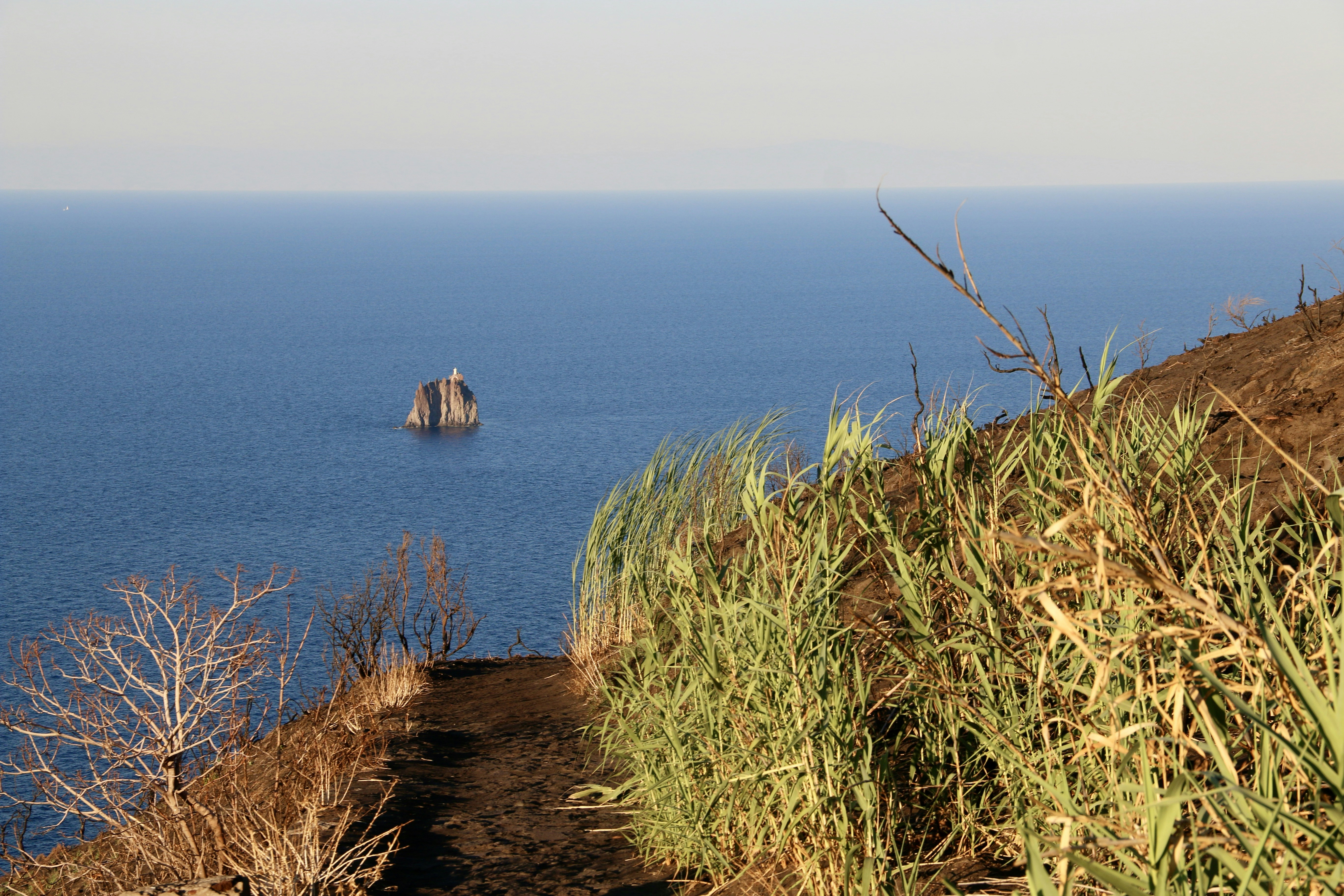 Cliffside Path Toward a Lone Sea Stack