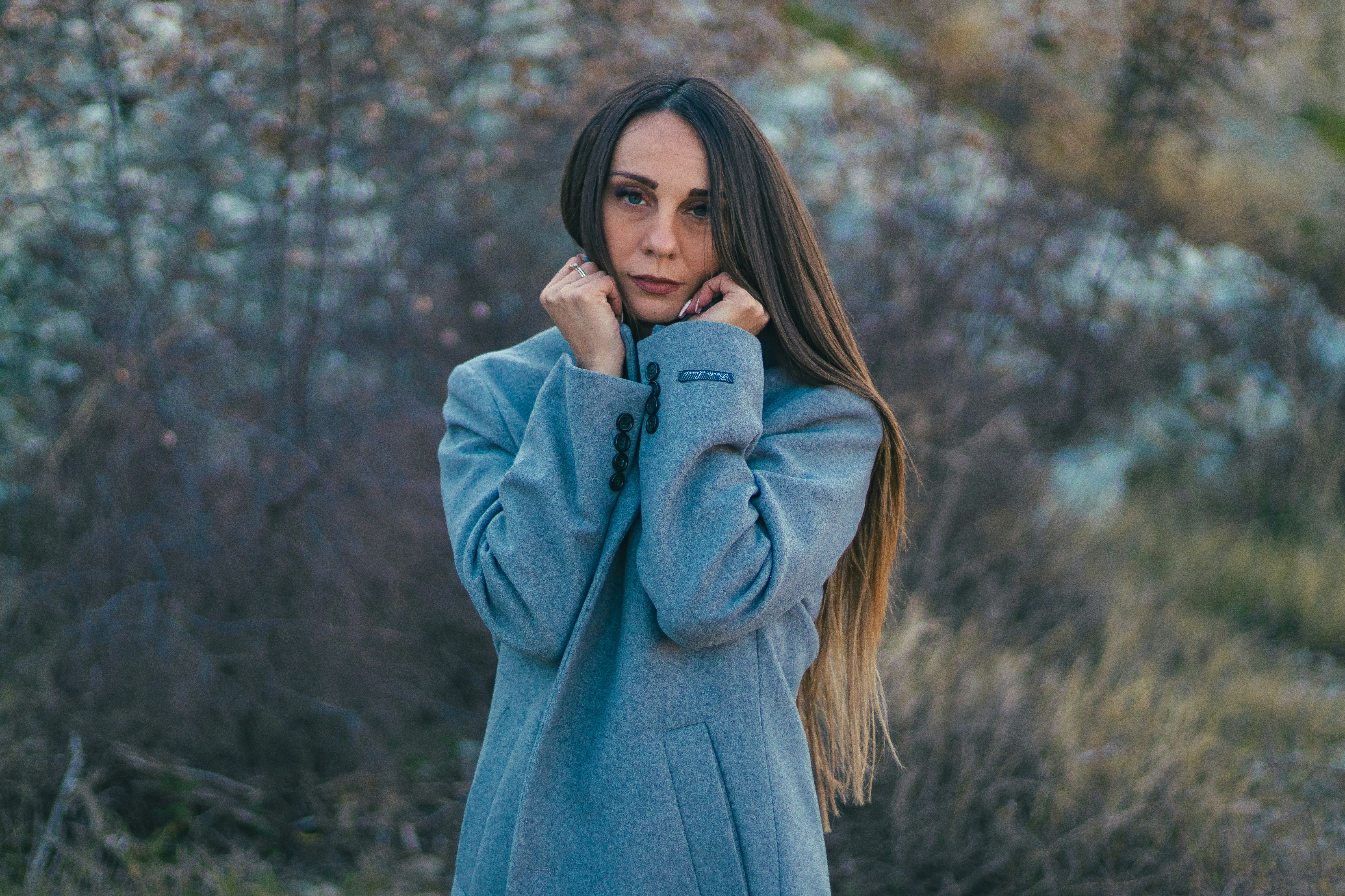 Blue Coat, Quiet Winter: Portrait Amid Frosted Foliage