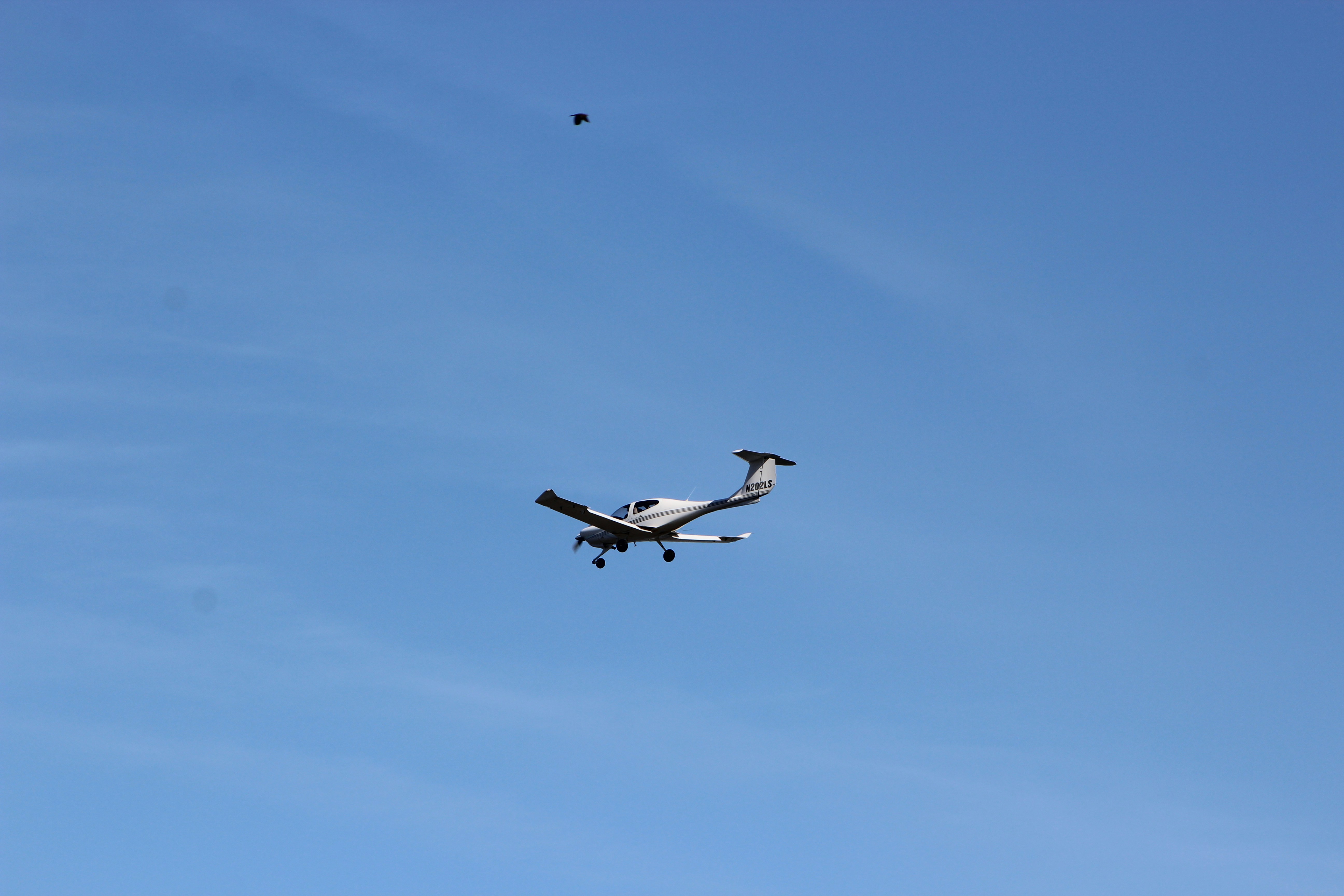 Skybound Duo: Small Plane in a Clear Blue Canvas