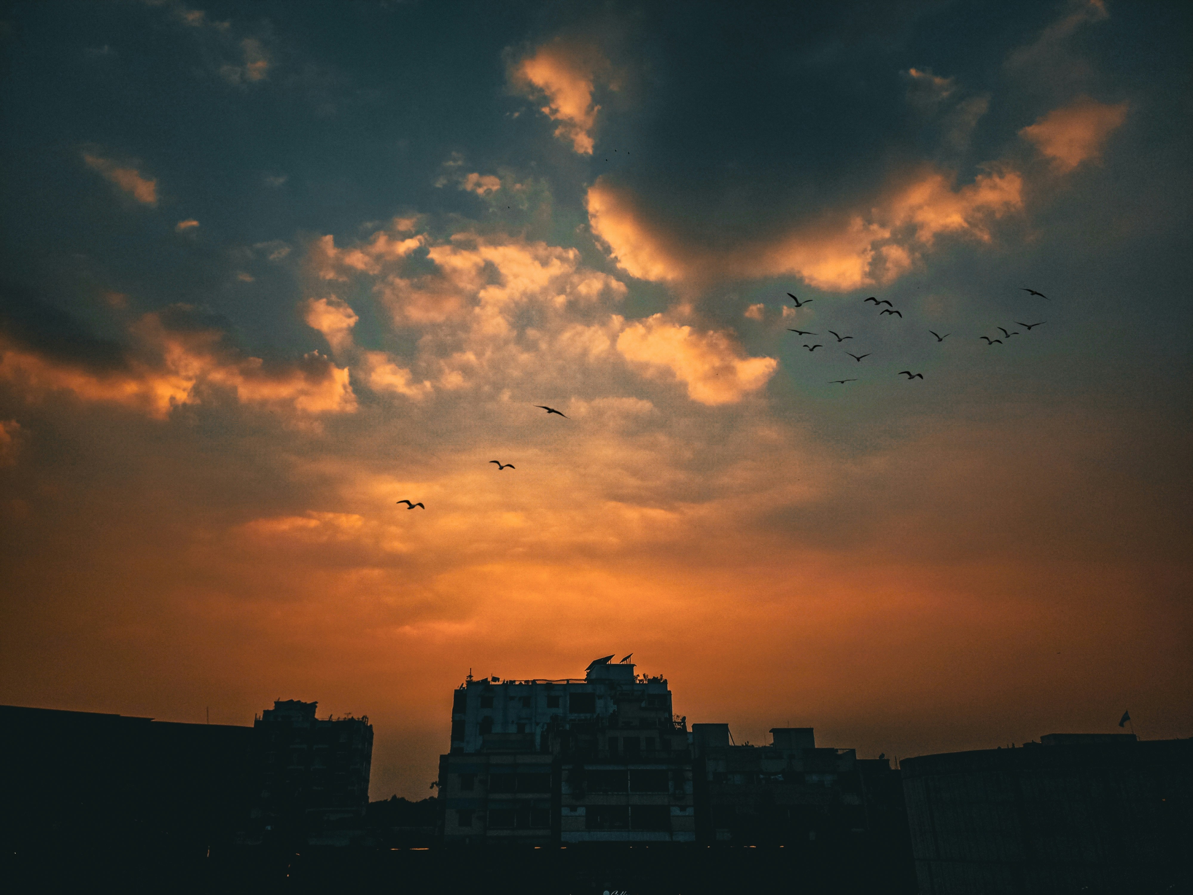 Arafat (@arafat95) | Unsplash Photo Community