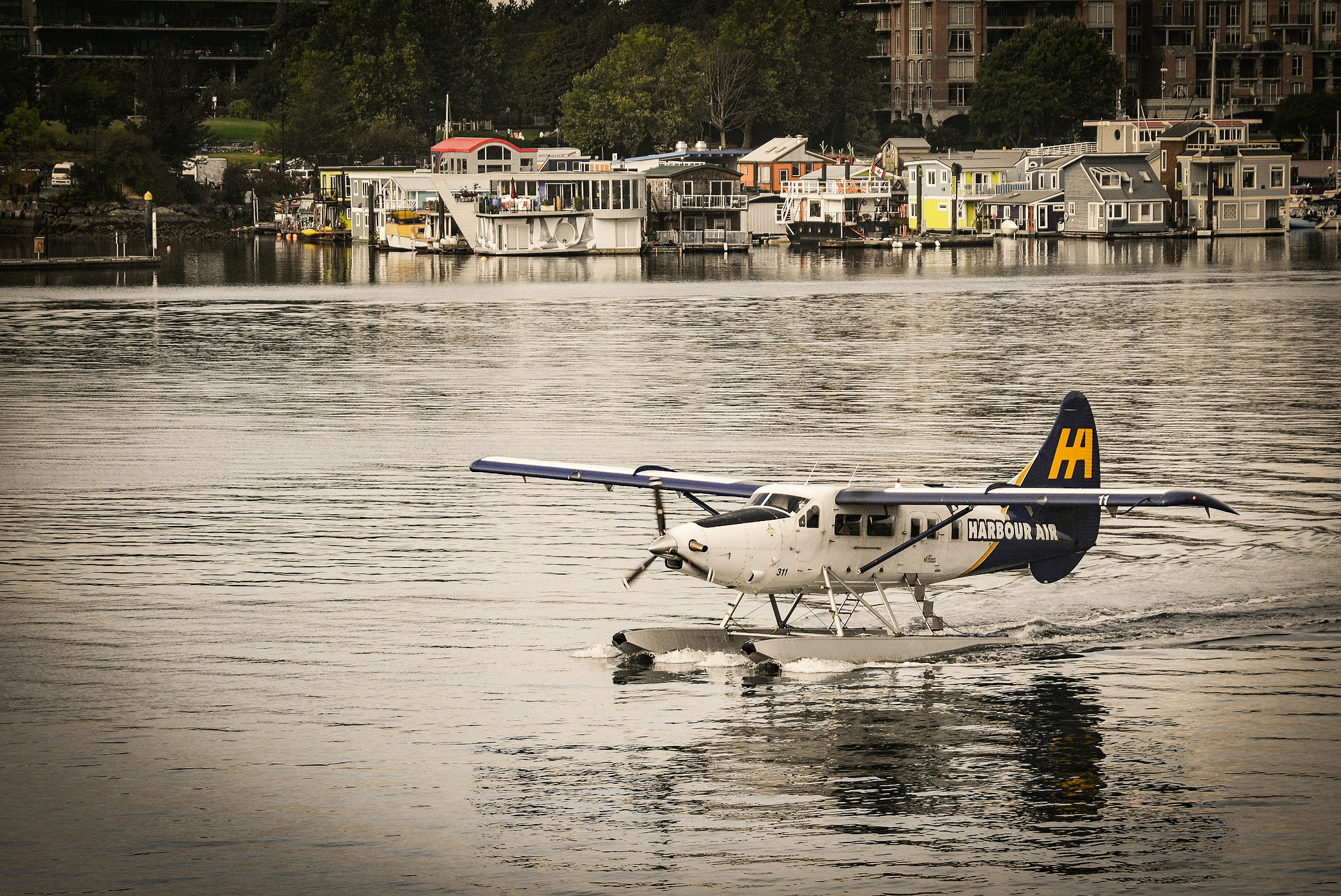 Landing on Glassy Water: Floatplane Amid Coastal Homes