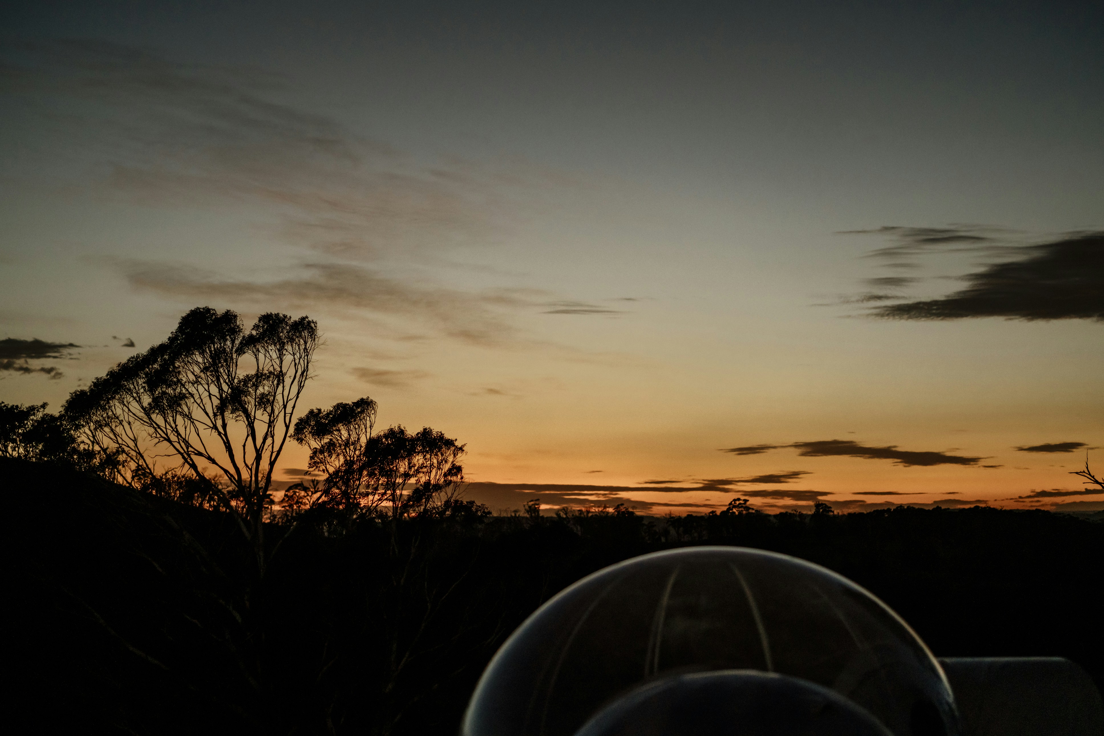 Glass Globe at Twilight: Silhouetted Trees Framing a Quiet Horizon