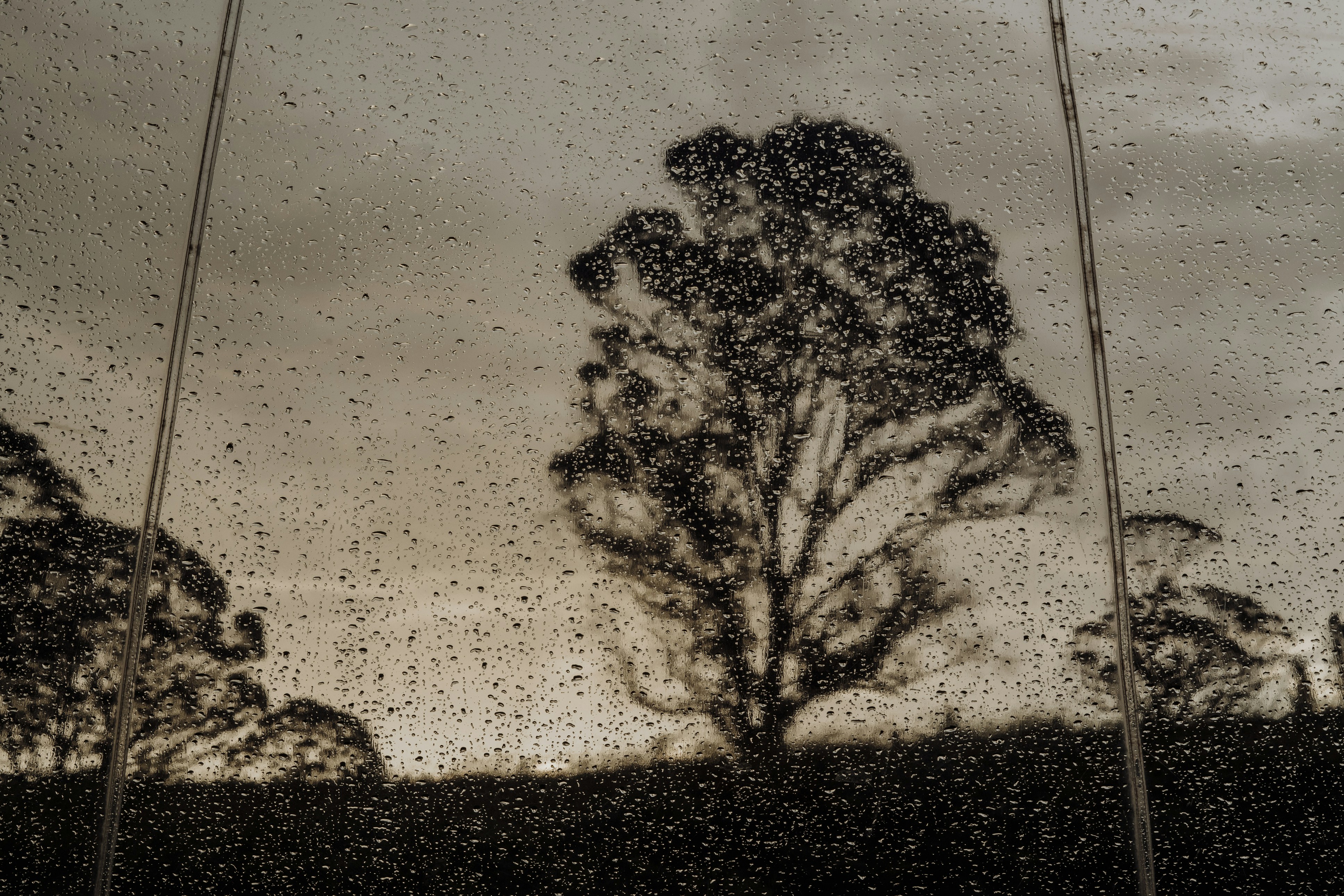 Looking out of bubble tent after storm, Capertee Valley, Australia.
