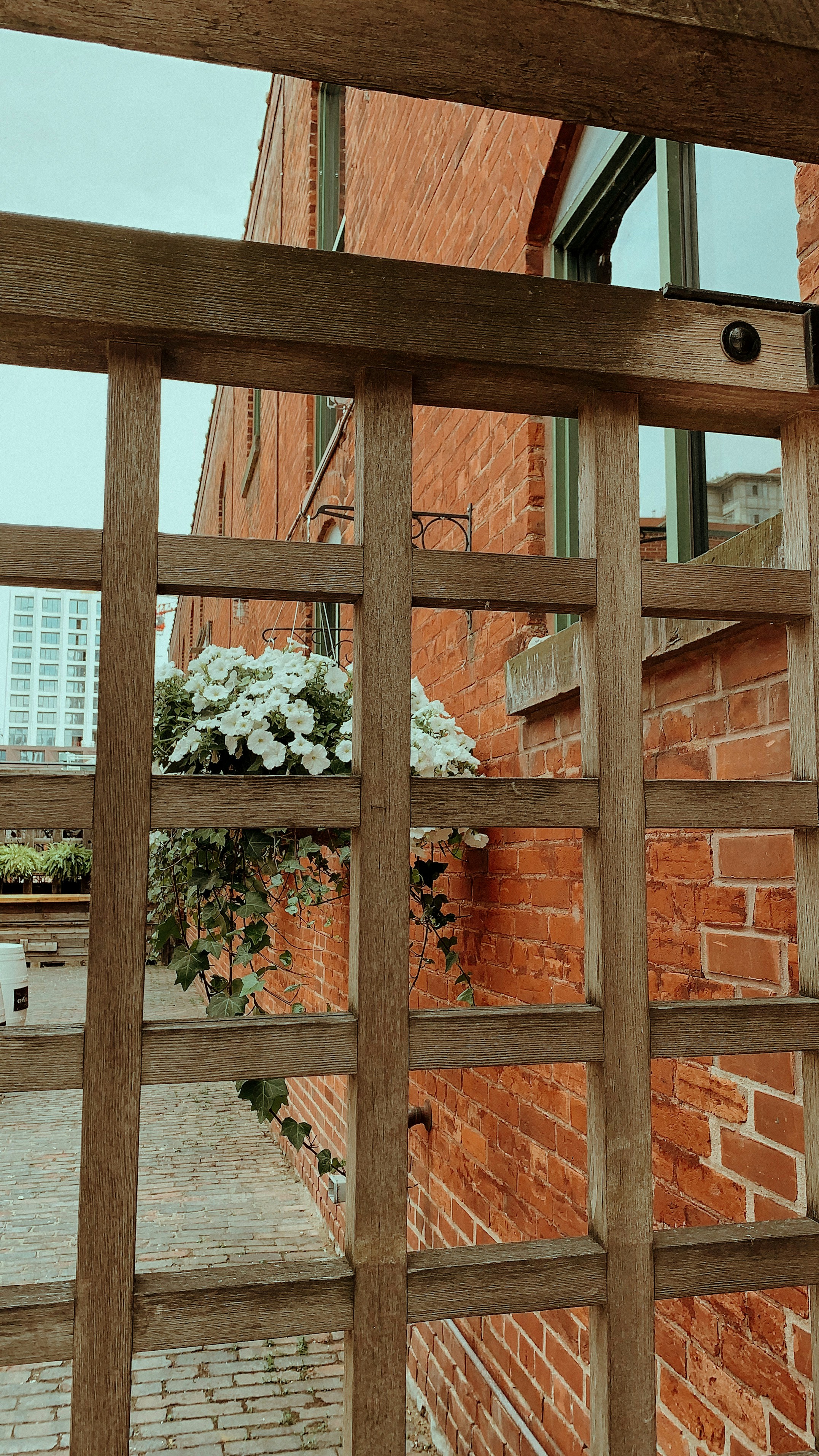 A Lily bouquet in the downtown of Old Toronto