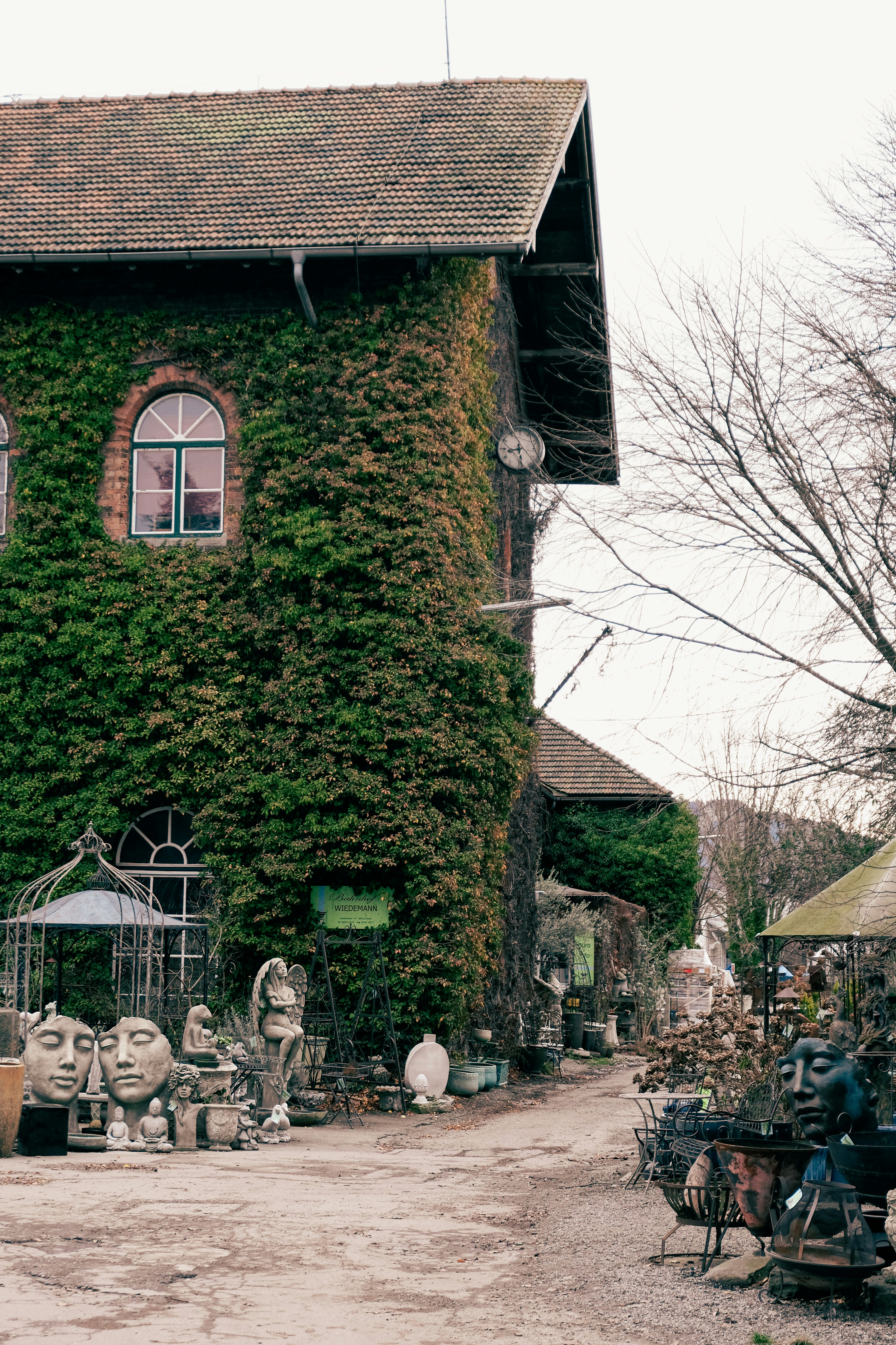 Ivy-Blanketed Facade Framing a Courtyard of Stone Faces