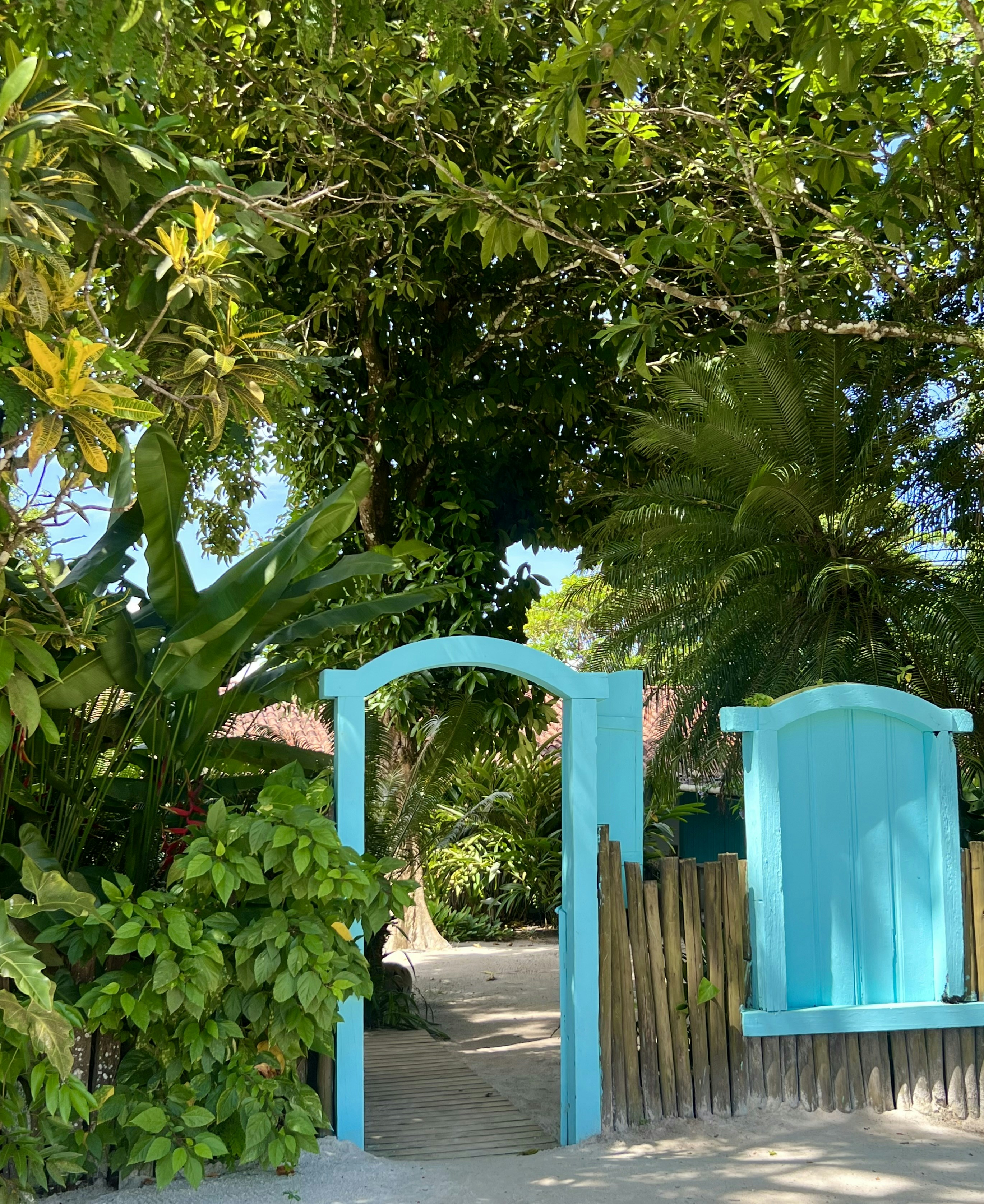Azure Archway: A Sunlit Gate Into a Lush Tropical Garden