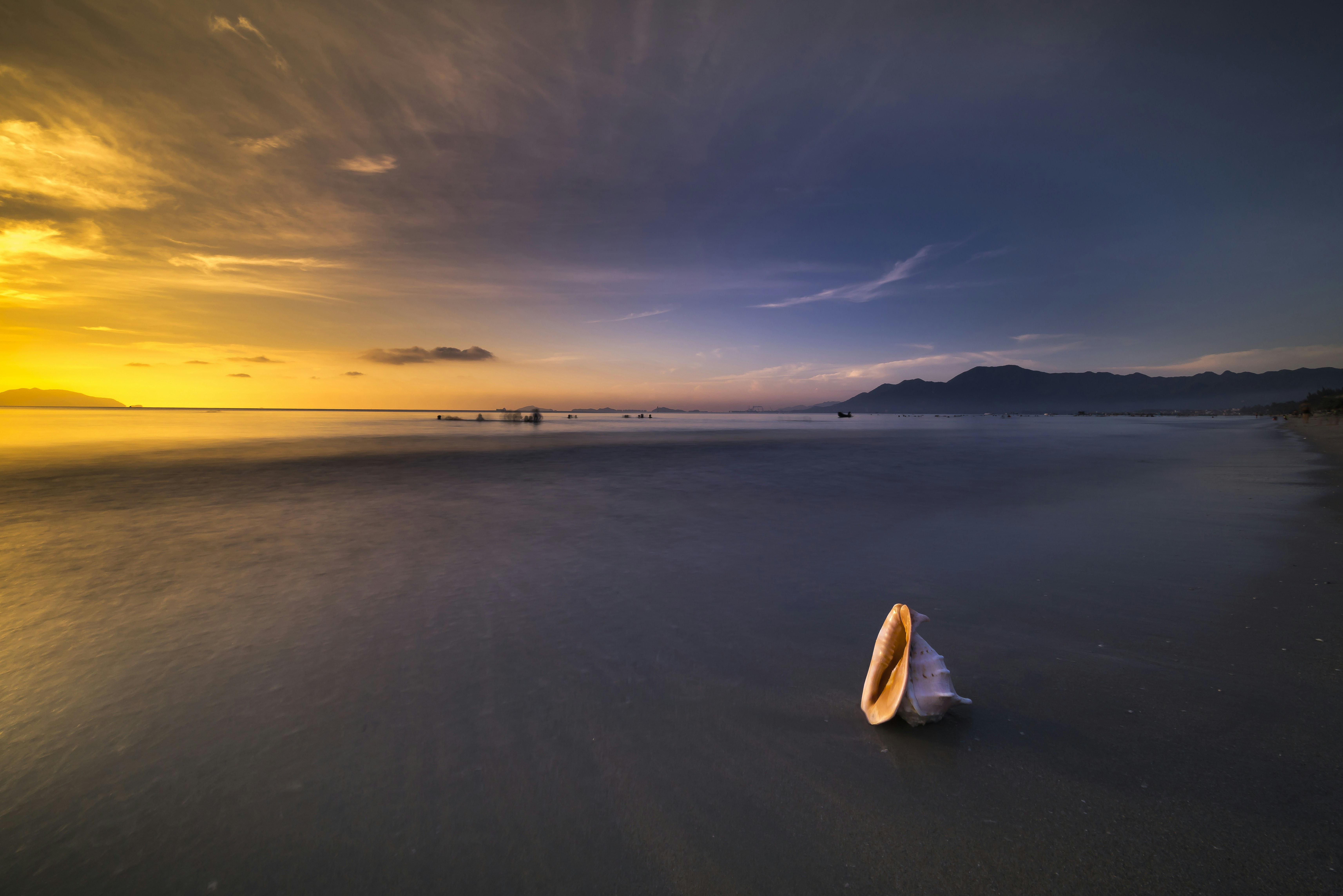 Shell on a Velvet Beach at Dusk