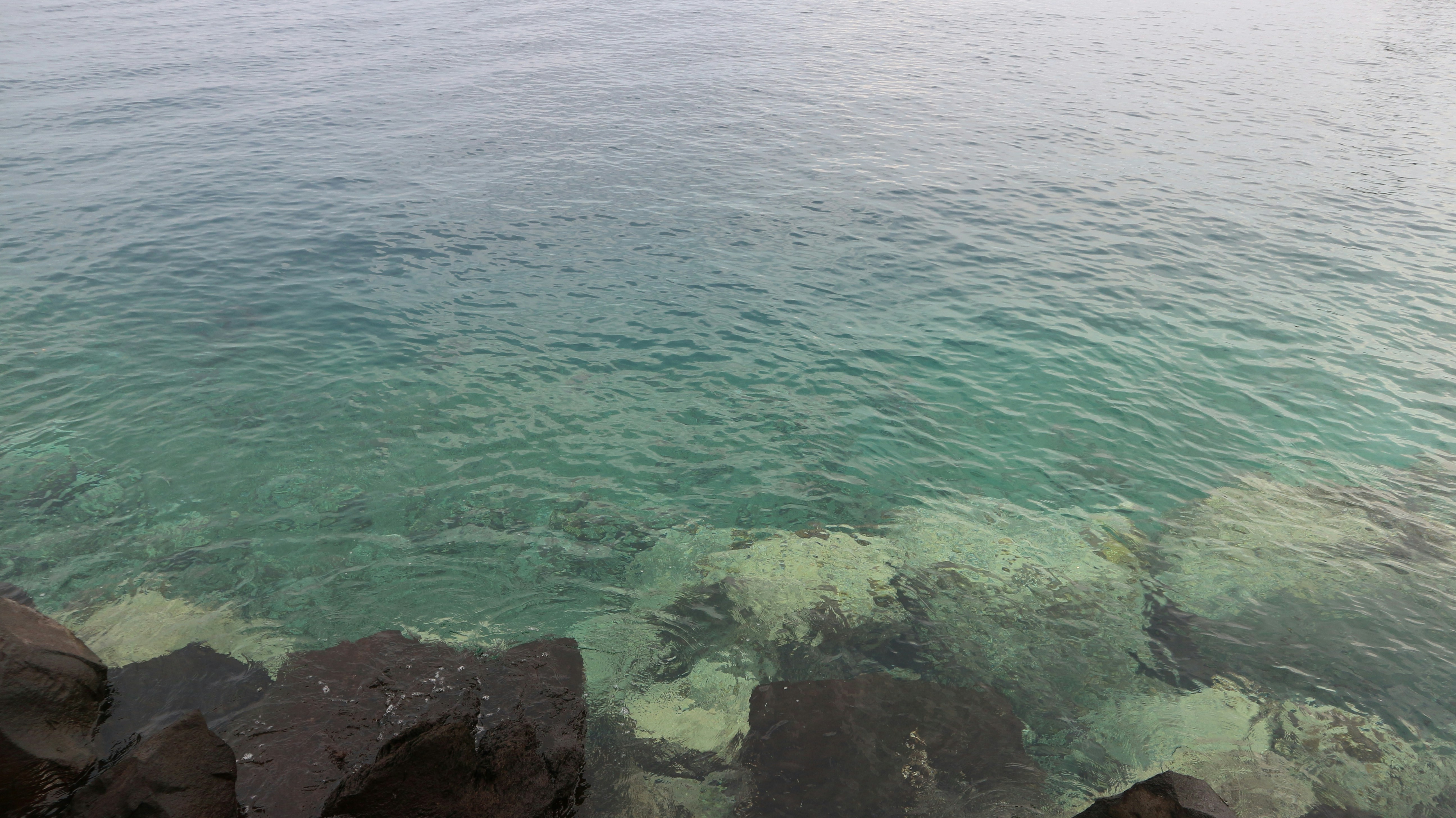 Calm ocean water