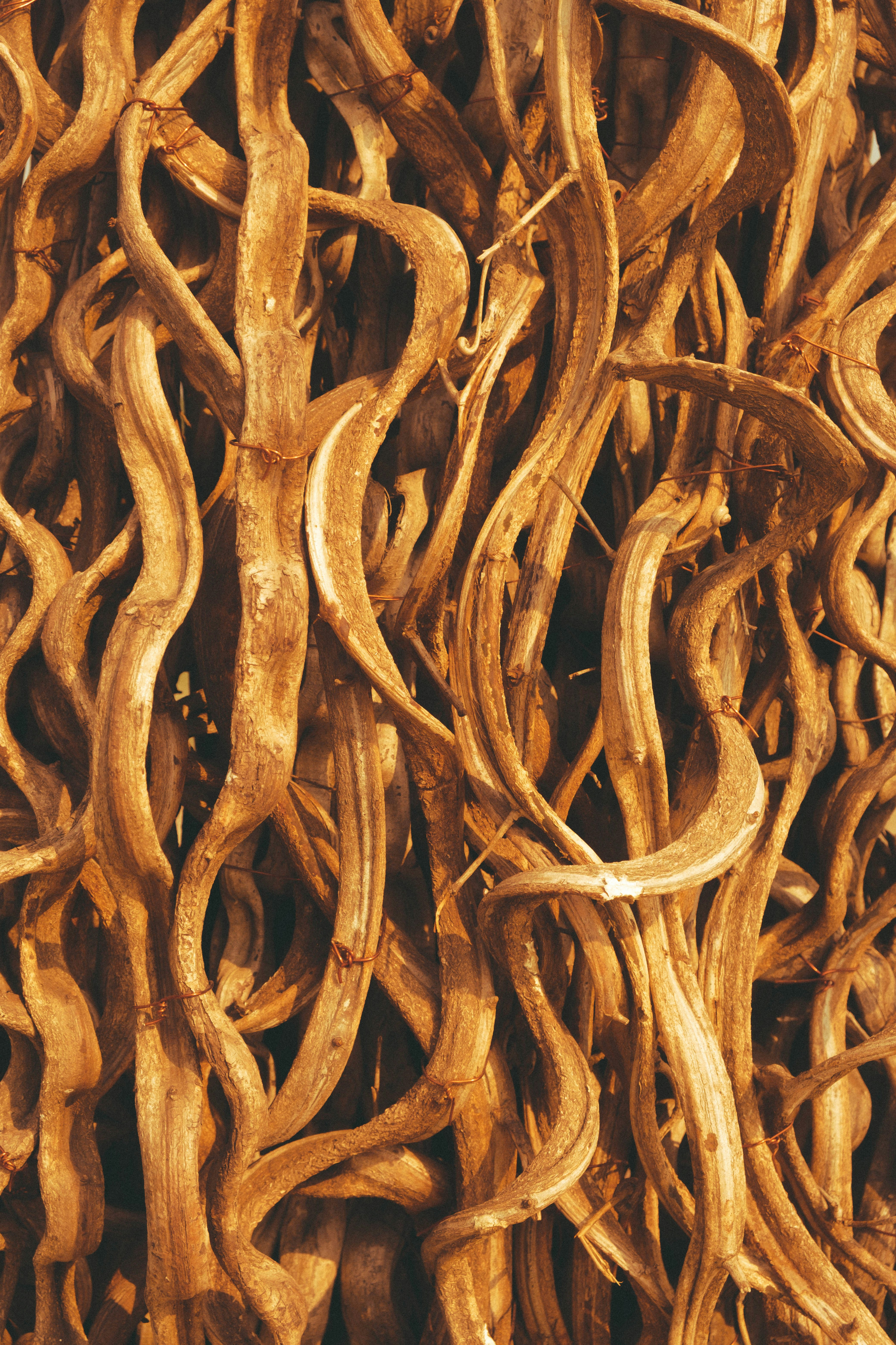 Photo by Nguyễn Hiệp with Fujifilm X-T3