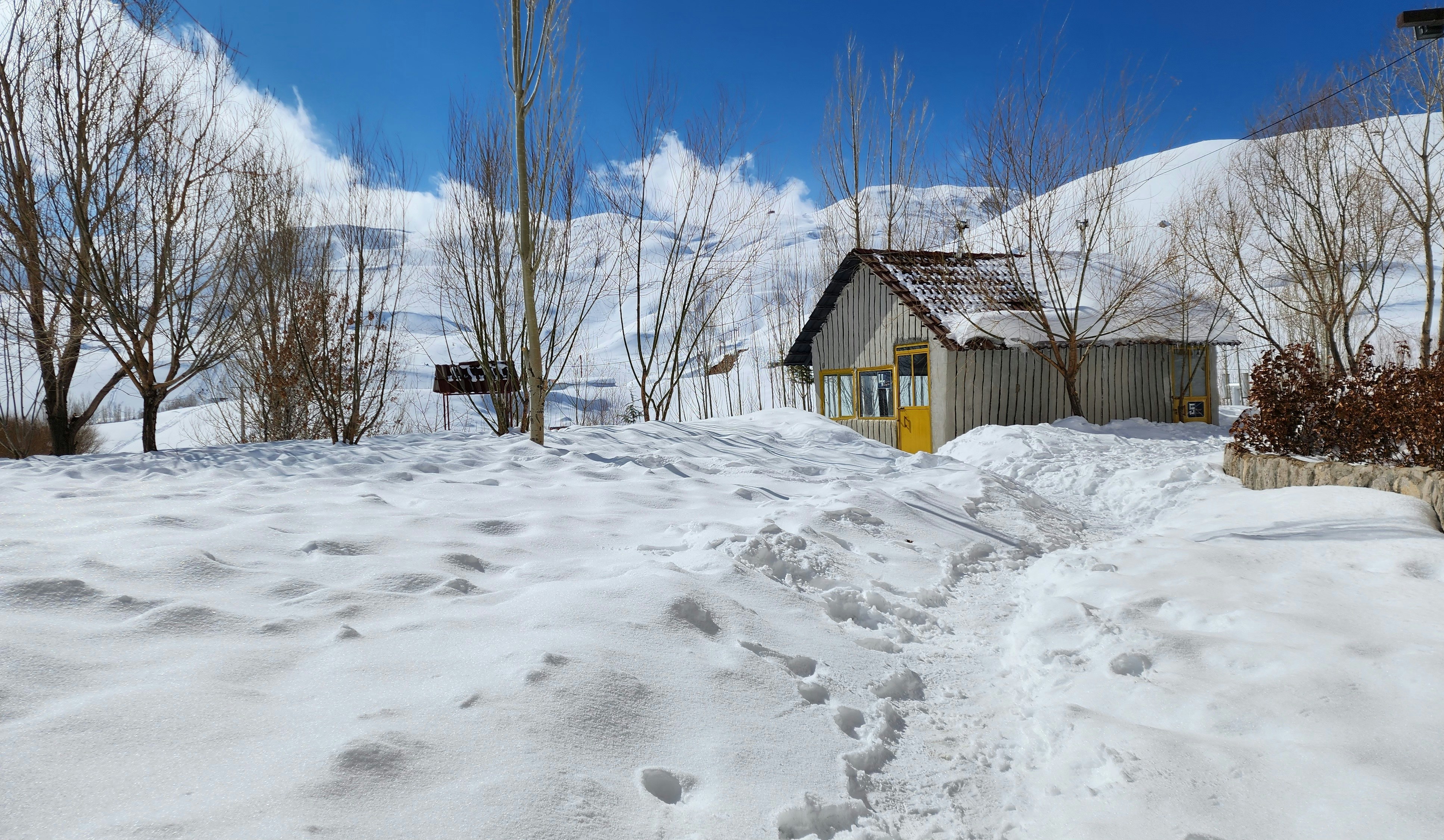 Whispers of Winter: A Snow-Covered Retreat